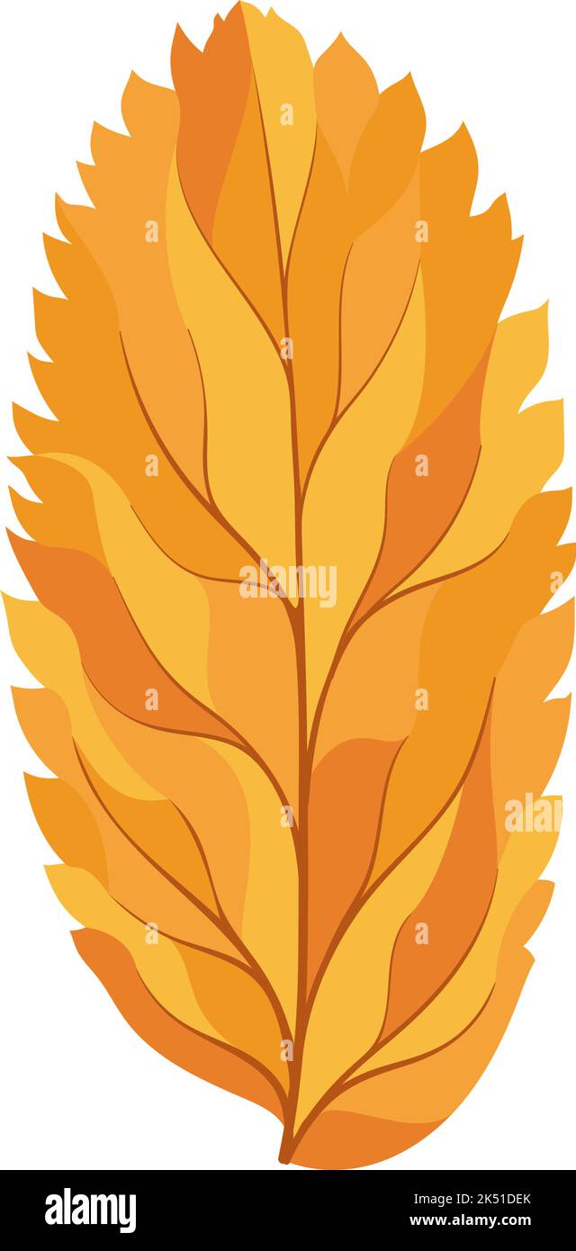 Autumn Rowan leaf. Leaf fall. Vector illustration Stock Vector Image ...