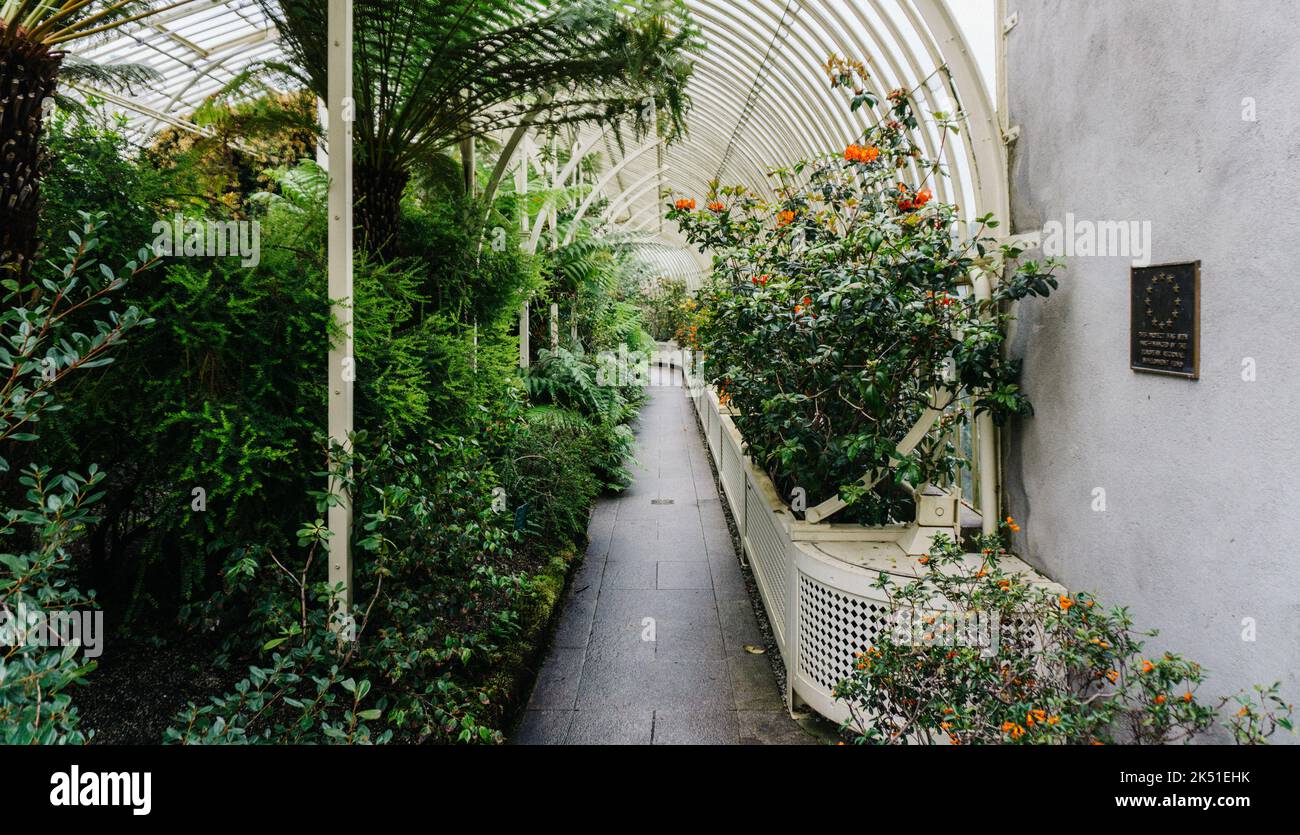 Botanic aesthetic hi-res stock photography and images - Alamy