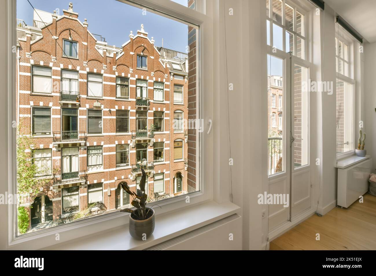 Interior of spacious windows on apartment with laminated floor with ...