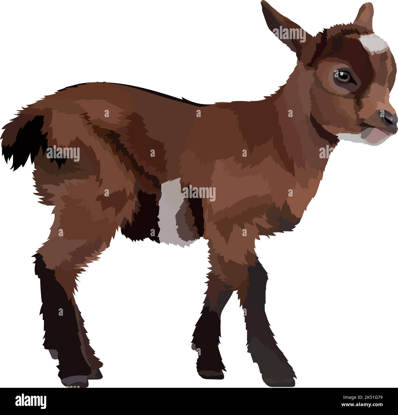 Realistic goat , side view, isolated farm animals Stock Vector Image ...