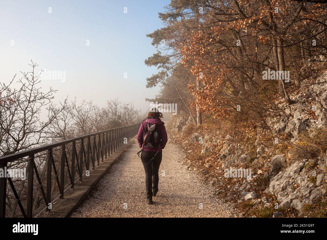 Back view of a Woman walking alone on rural misty path called ...