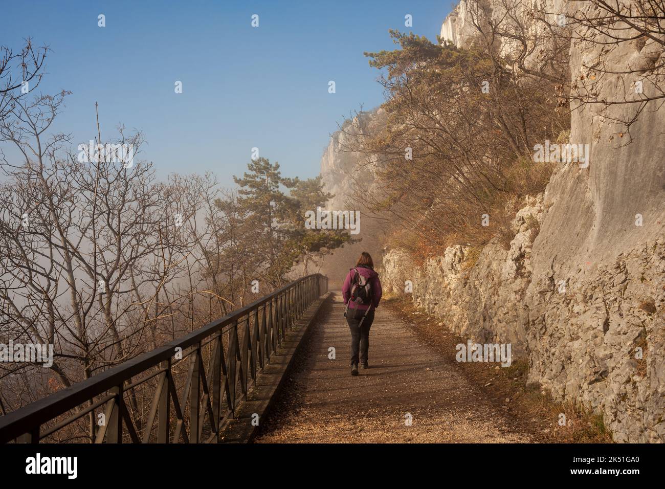 Back view of a Woman walking alone on rural misty path called ...