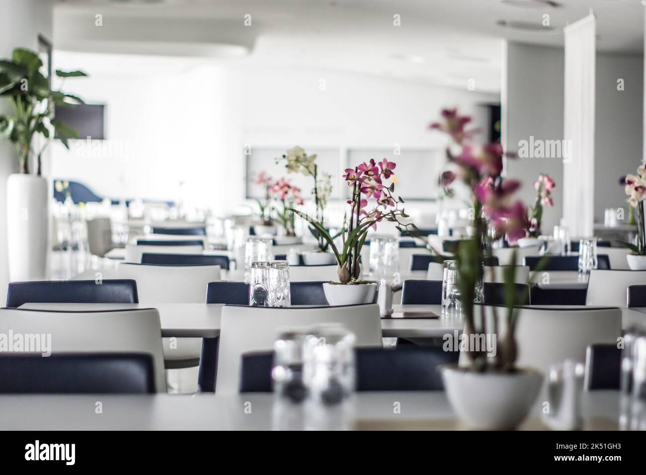 Conference Area and Meeting Point Stock Photo - Alamy