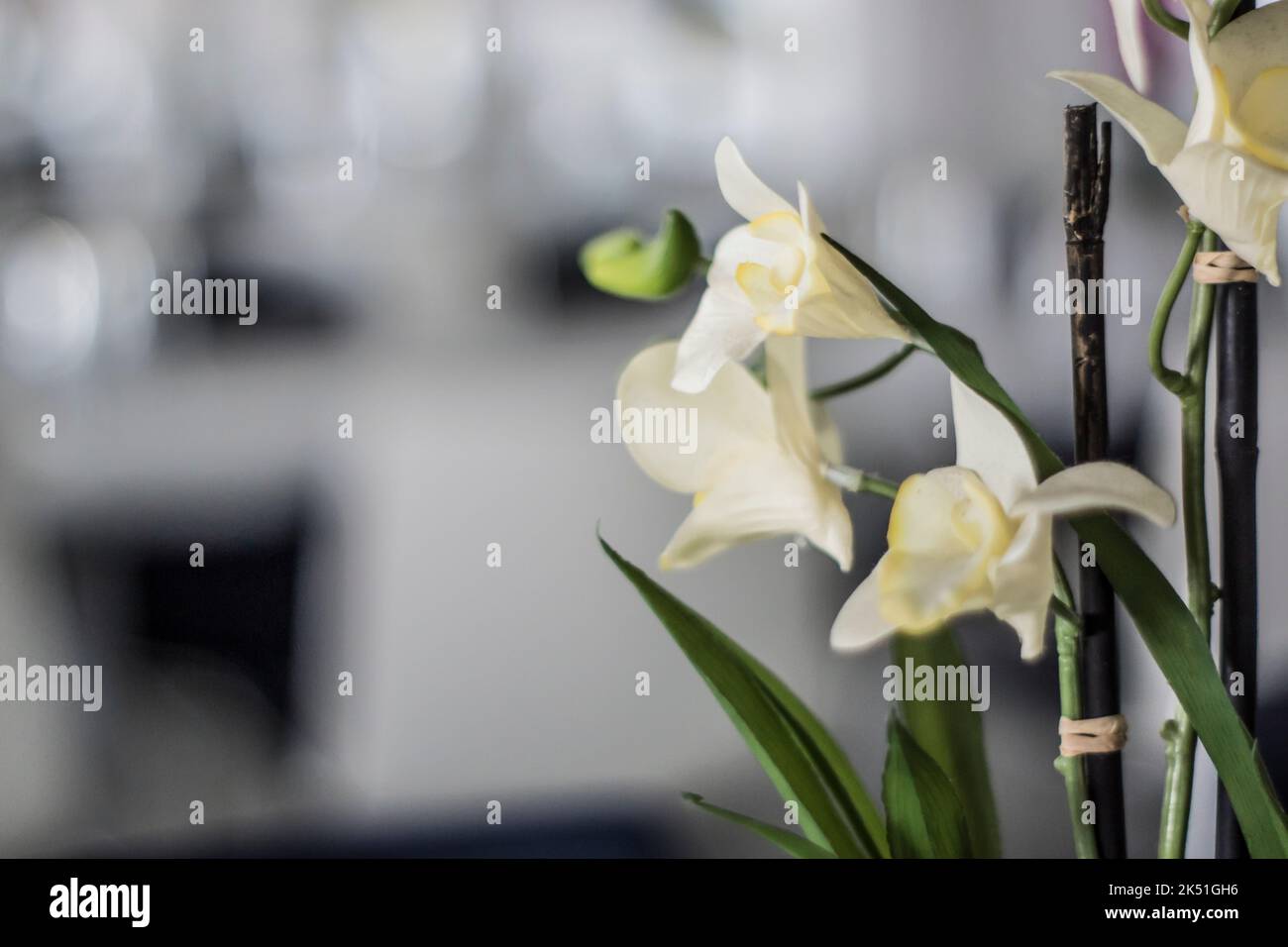 Conference Area and Meeting Point Stock Photo - Alamy