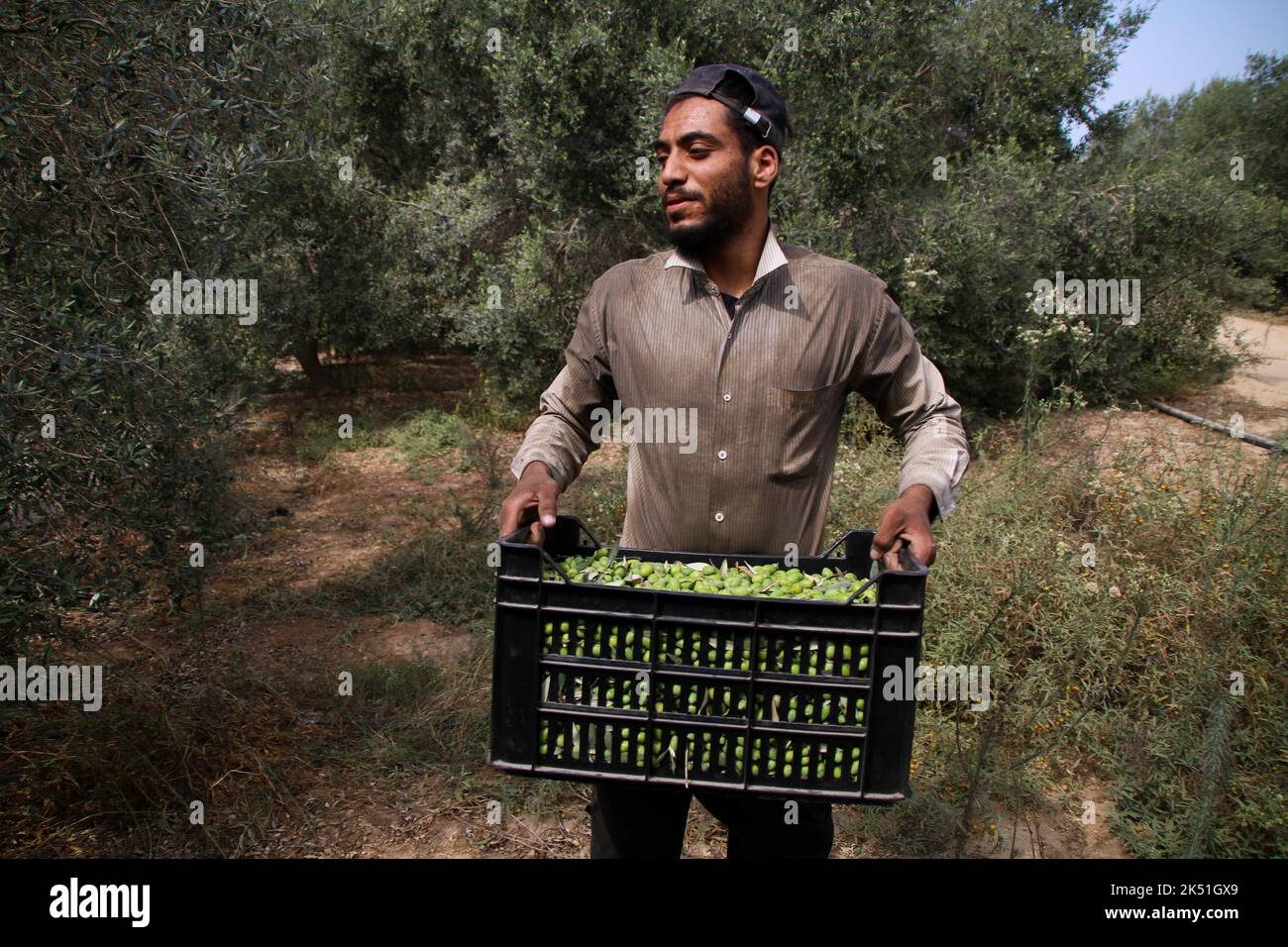 October 4, 2022, Gaza City, Gaza Strip, Palestine: Gaza, Palestine. 04 ...