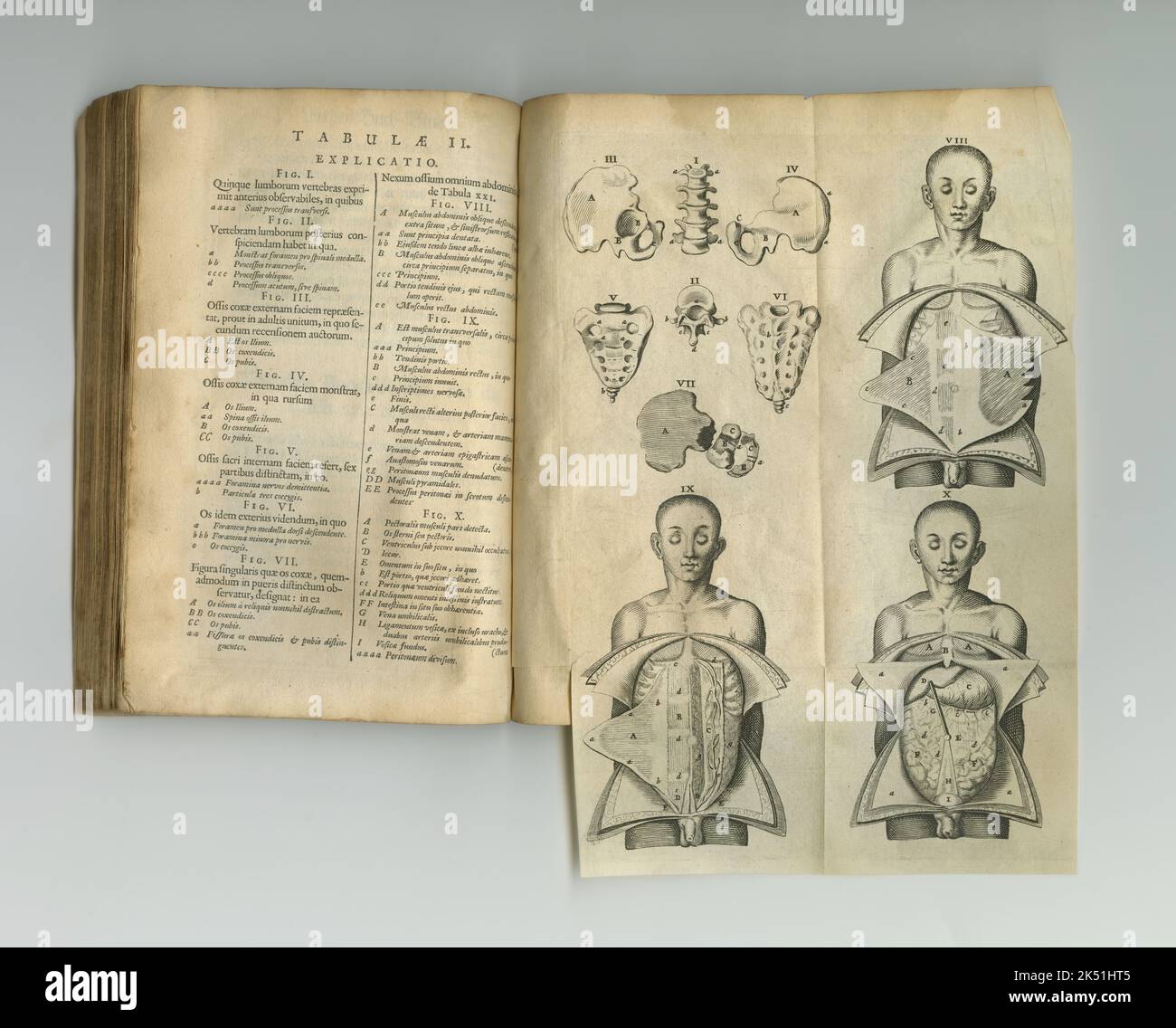 Old biological textbook. An old anatomy book with its pages on display ...