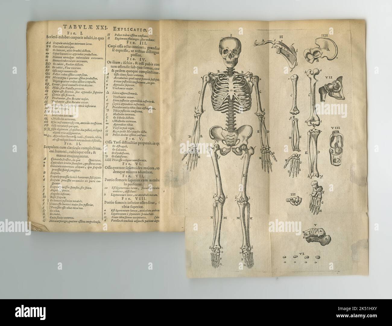 Aged latin anatomy book. An old anatomy book with its pages on display ...