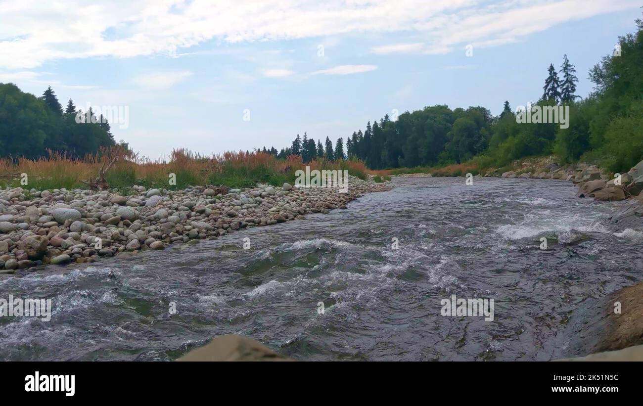 A beautiful mountain river flows near the forest Stock Photo - Alamy