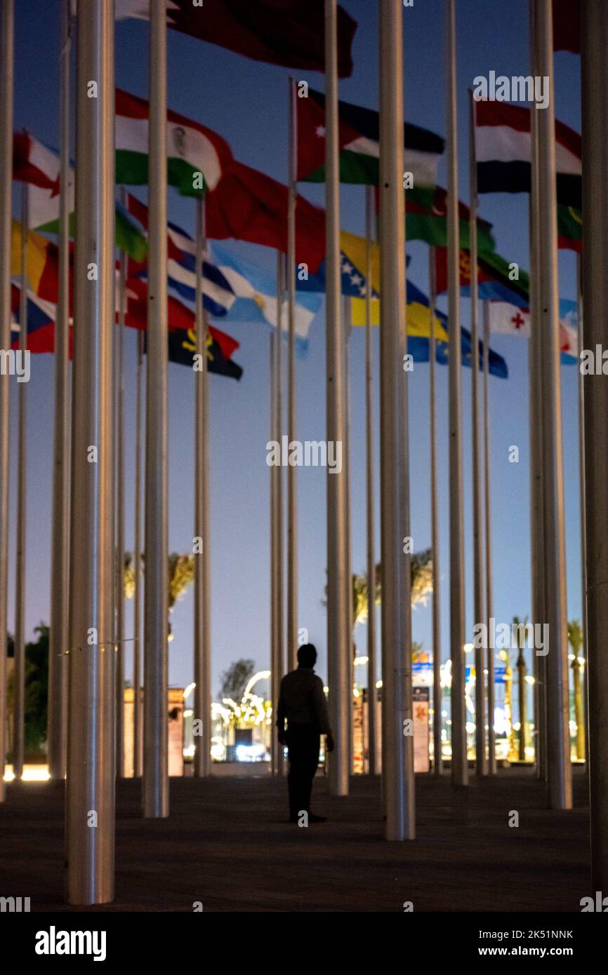 A visitor takes a photograph of 120 flags, from all countries ...