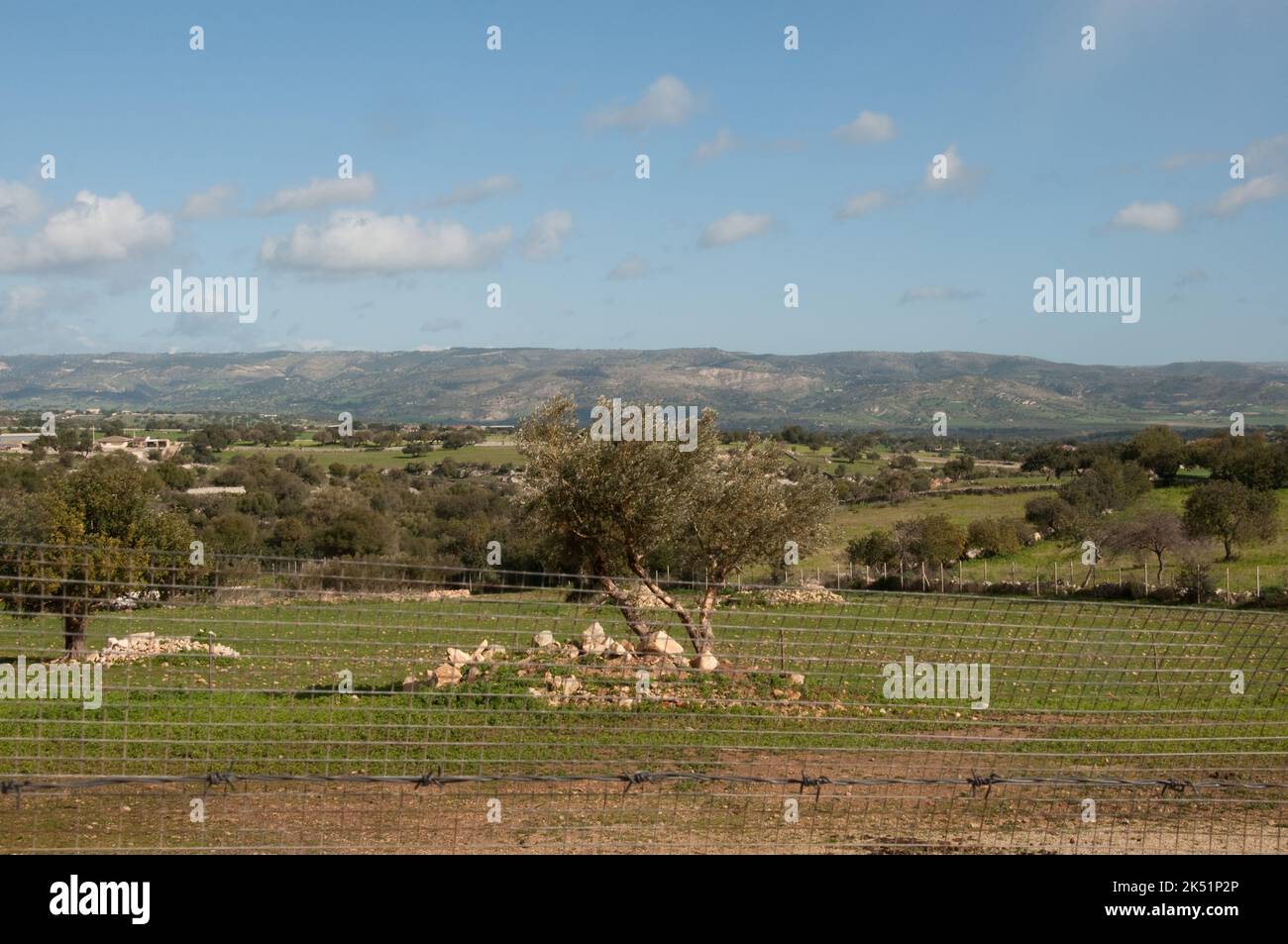 Panorama, outside Rosolini, Province of Siracusa (Syracuse), Sicily ...