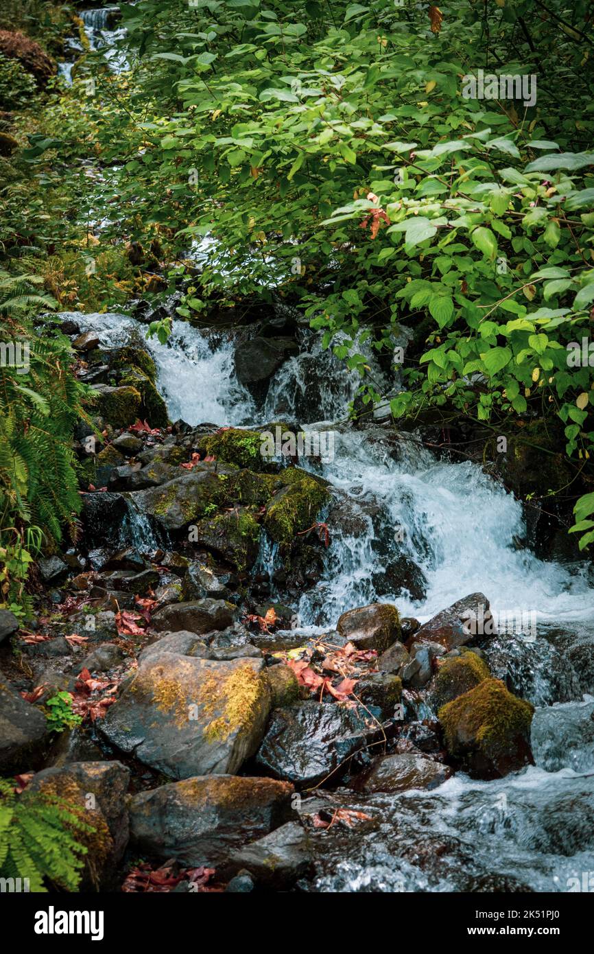 One of the many waterfalls in the Columbia River Gorge area of Oregon ...