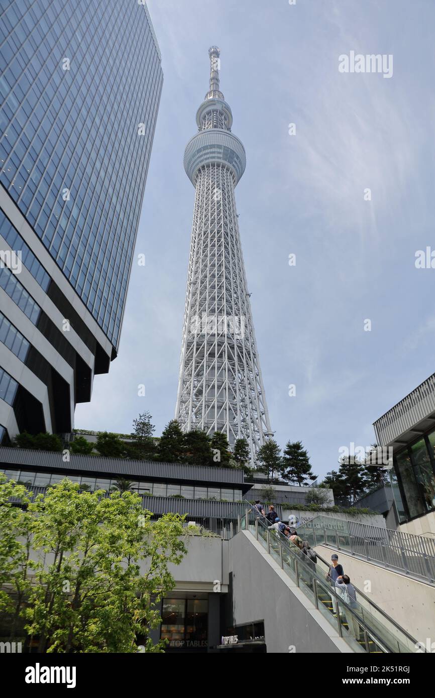 the cityscape with Sky Tree in Tokyo, Japan Stock Photo - Alamy