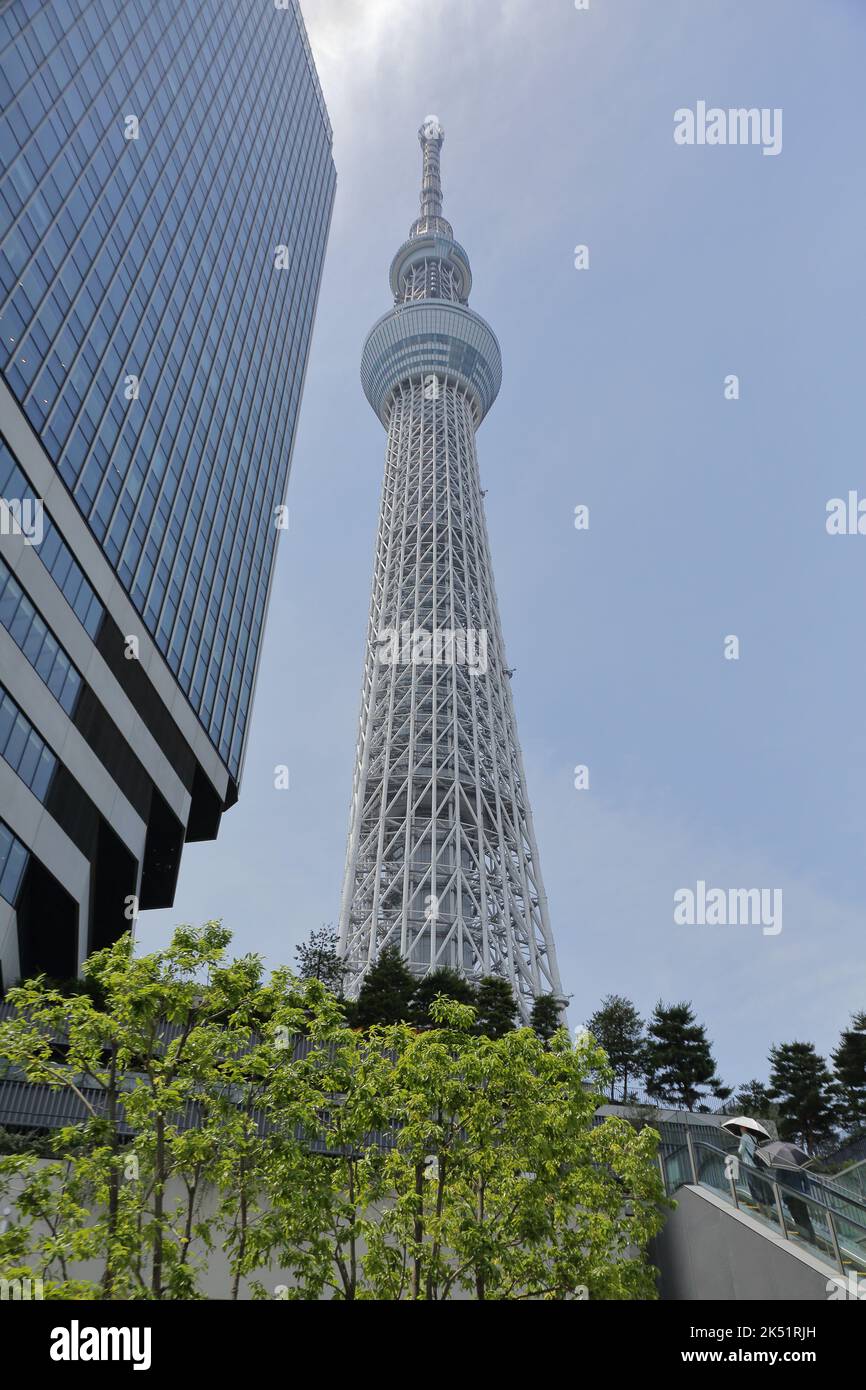 the cityscape with Sky Tree in Tokyo, Japan Stock Photo - Alamy