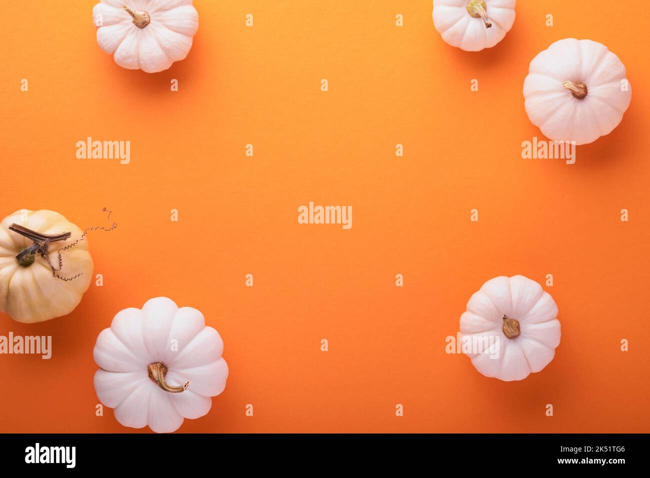 Halloween background. Flock of black bats, spider, pumpkin, and leaves ...