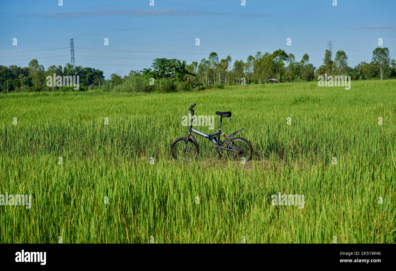 A mountain bicycle in a beautiful lush green landscape Stock Photo - Alamy