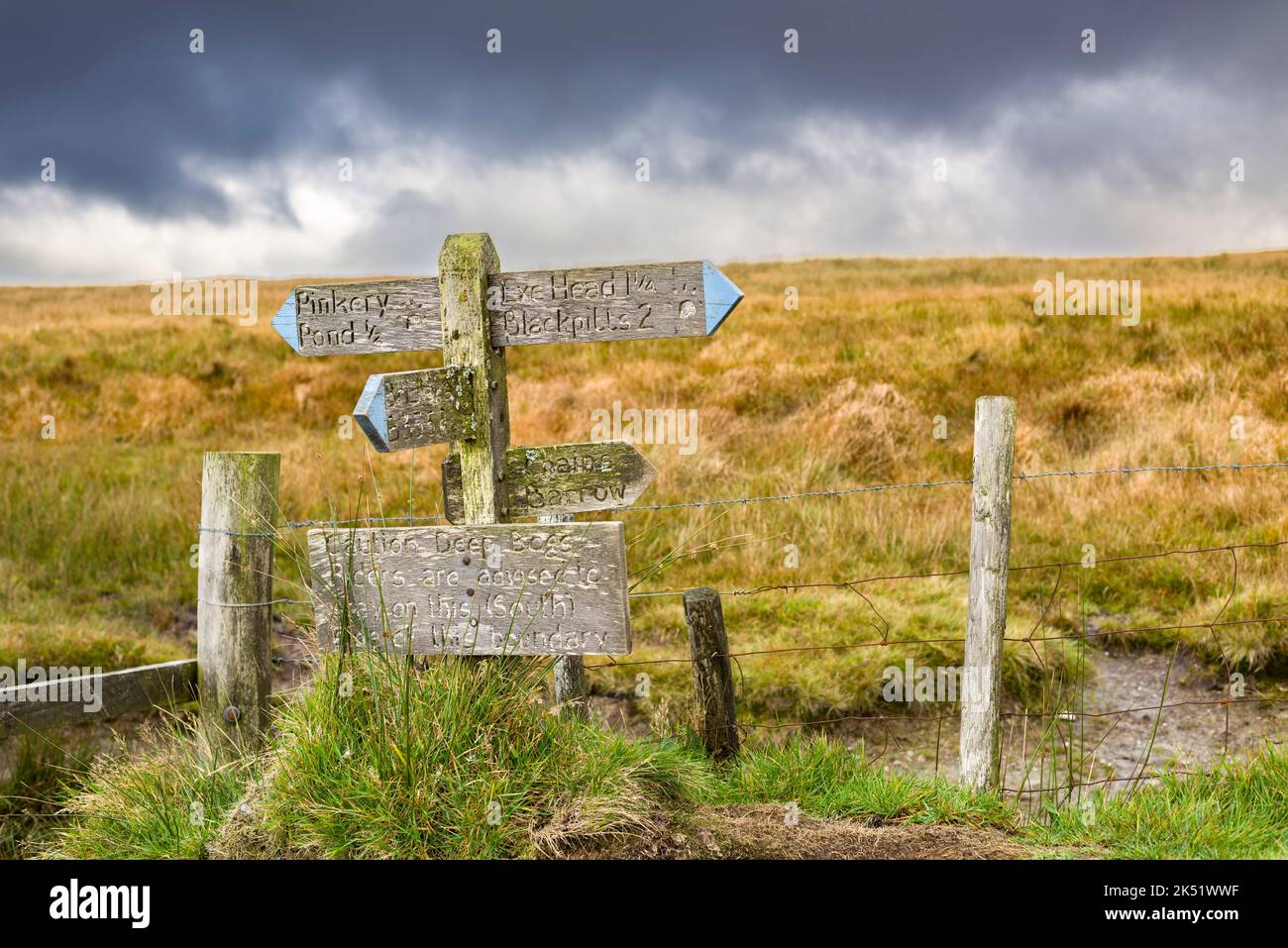 A signpost on the Macmillan Way and Tarka Trail bridlepath between ...