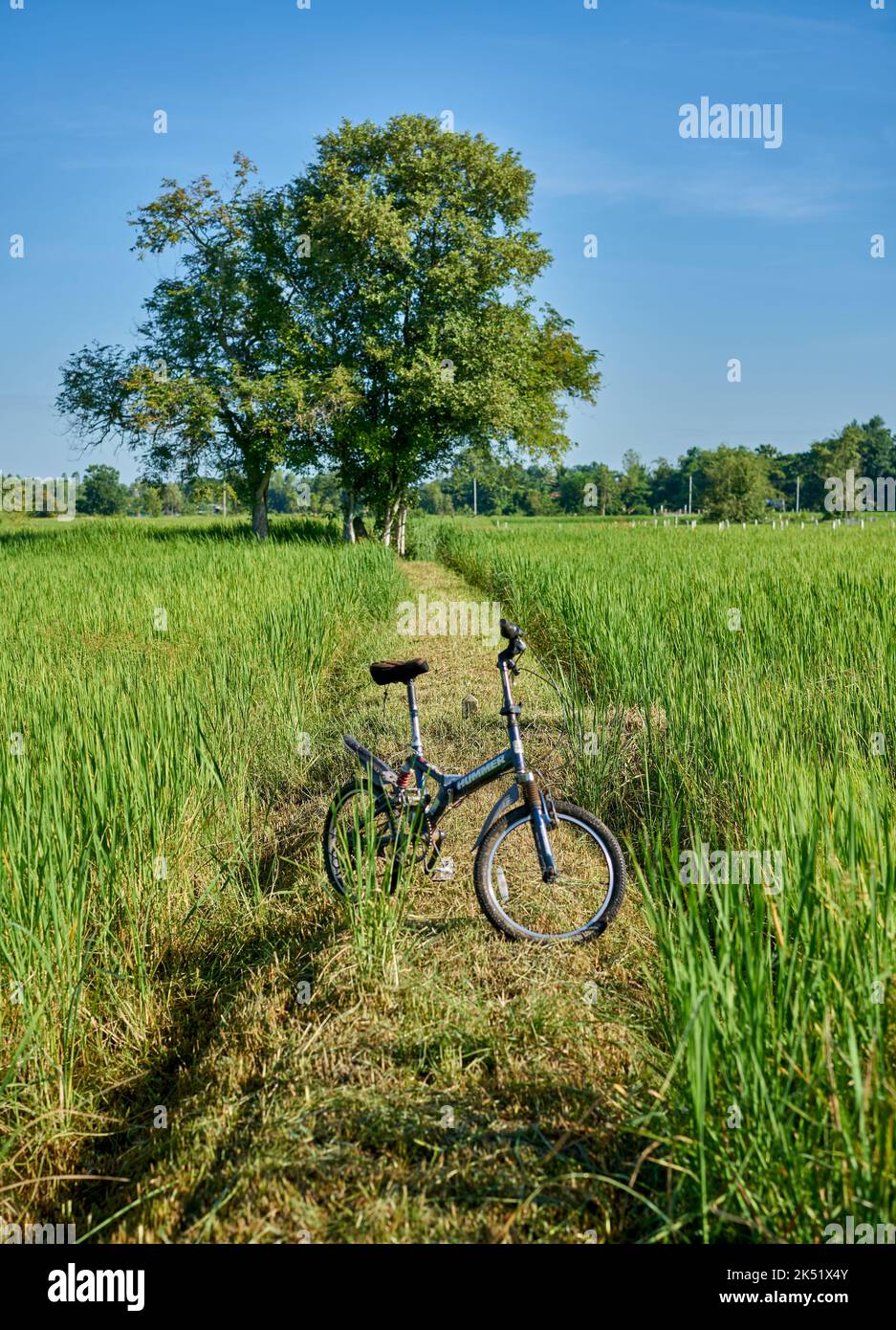 Bicycle and scenery hi-res stock photography and images - Alamy