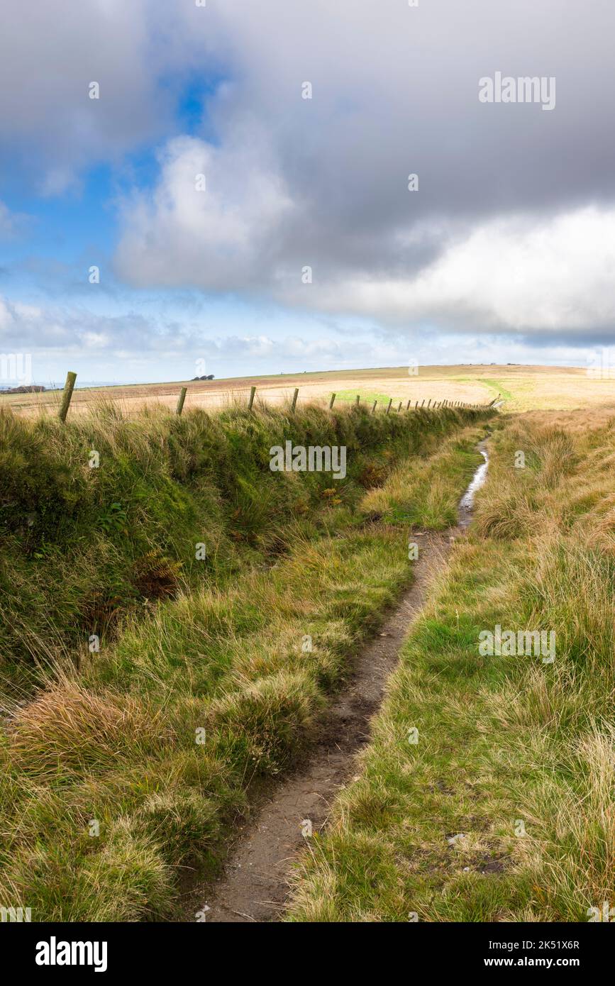 The Tarka Trail path running alongside a barbed wire fenced earth bank ...