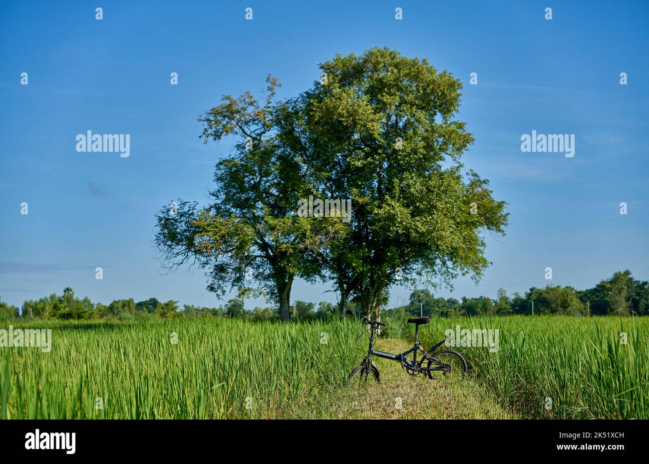Bicycle and scenery hi-res stock photography and images - Alamy