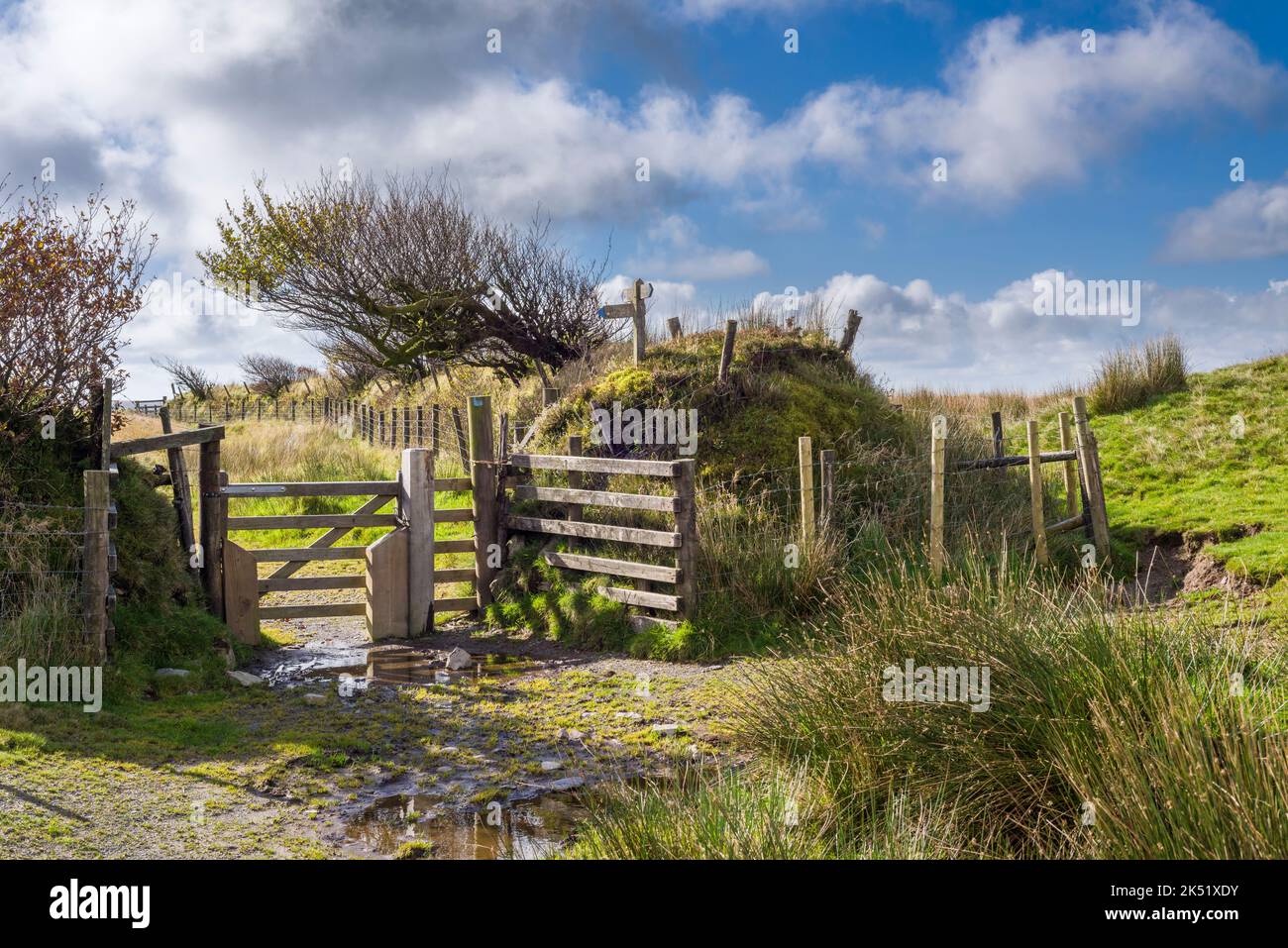 Woodbarrow Gate, part of the Tarka Trail at The Chains in Exmoor ...