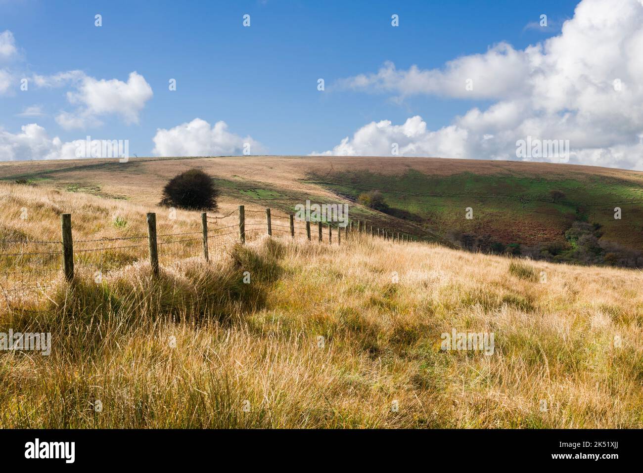 A barbed wire fence along the Devon and Somerset border on the north ...