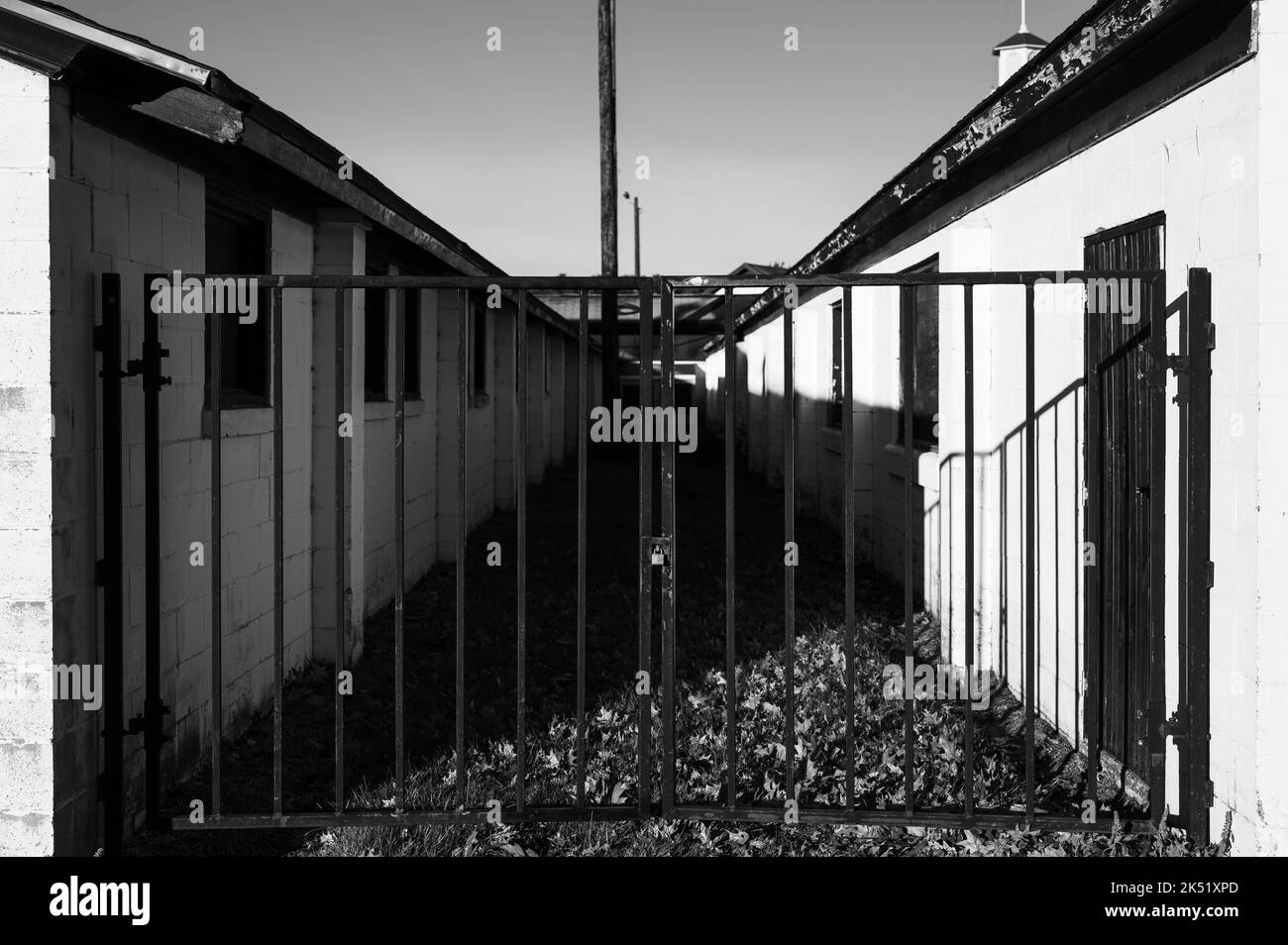 A grayscale shot of a metal gate with a pathway between two white ...