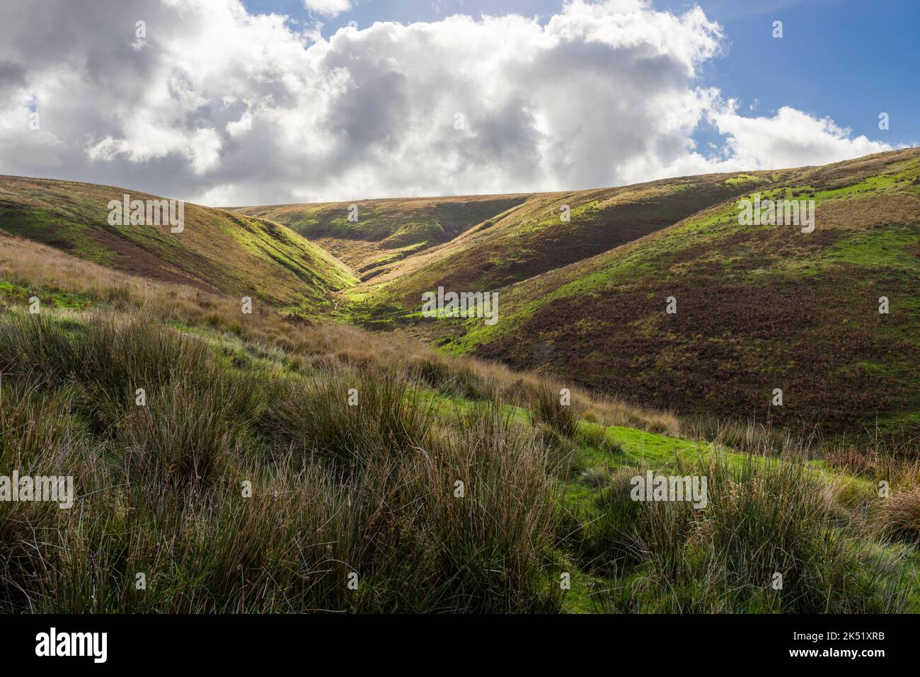 Ruckham Combe, the path of the upper reaches of the West Lyn River, on ...
