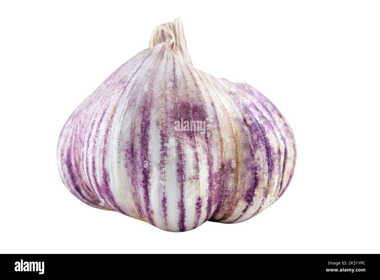 garlic bulb, isolated food Stock Photo - Alamy