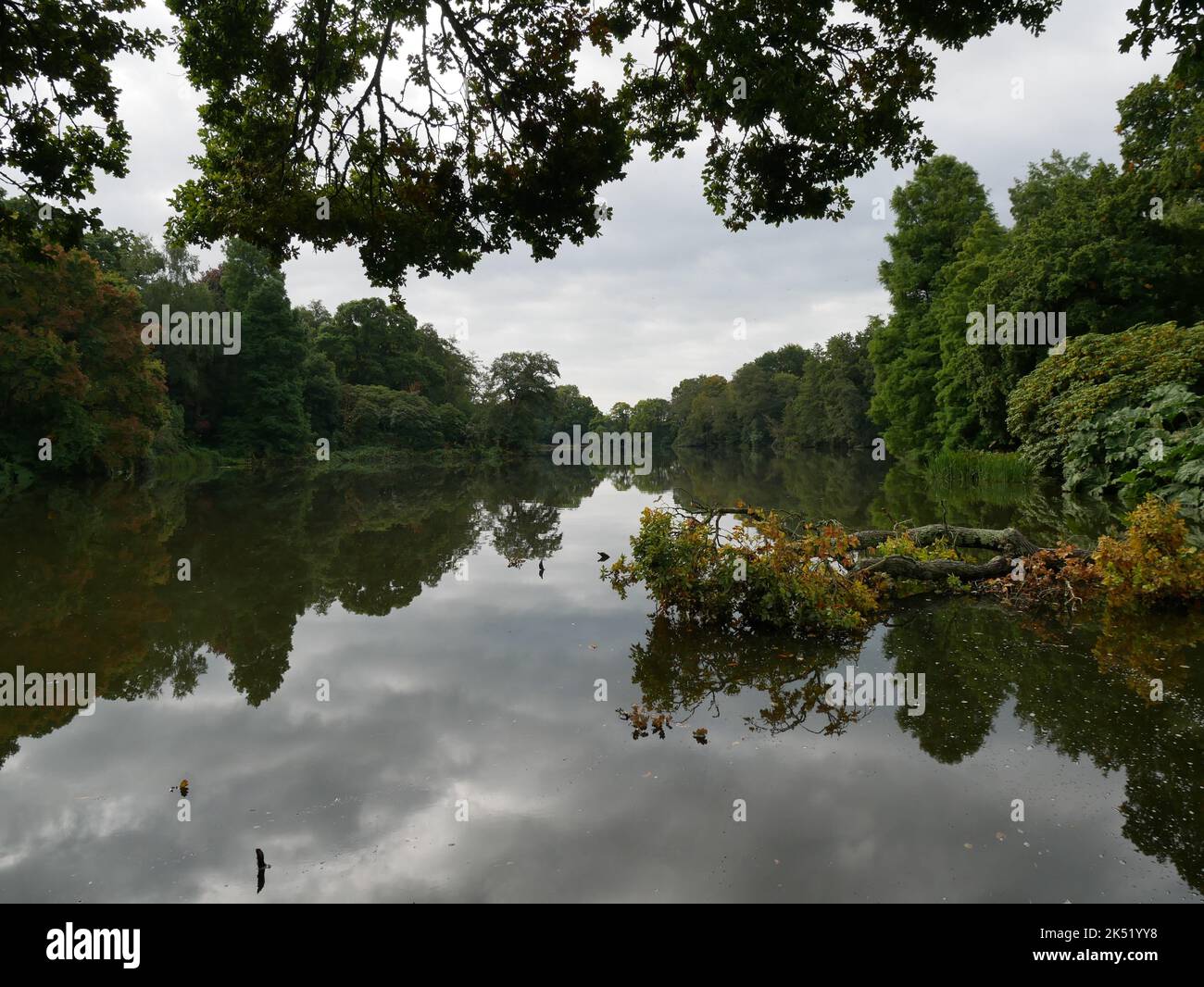 Shelfield park hi-res stock photography and images - Alamy