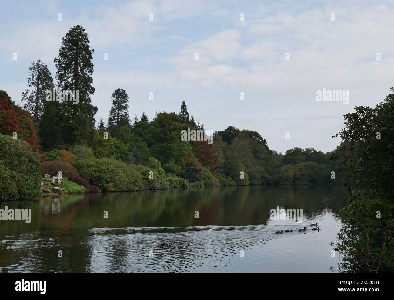 Shelfield park hi-res stock photography and images - Alamy