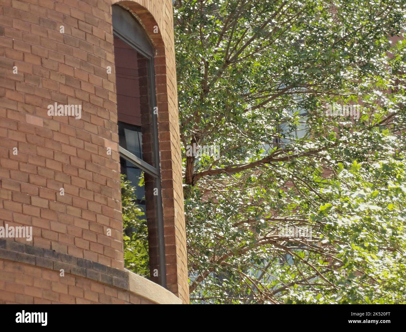 Exterior wall of brick building against green leafy trees background ...