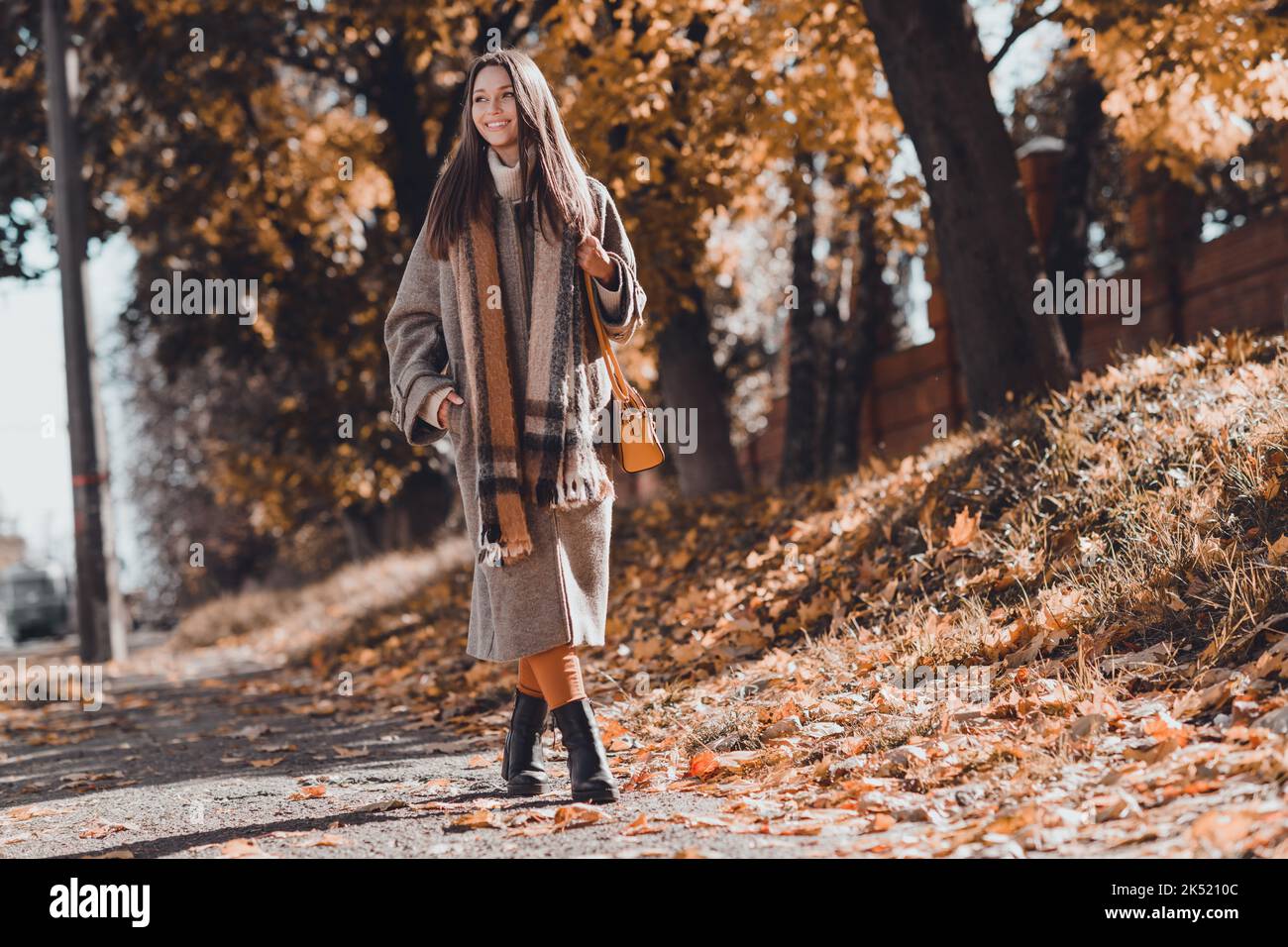 Full length photo of pretty cute lady girlfriend go pavement sidewalk ...