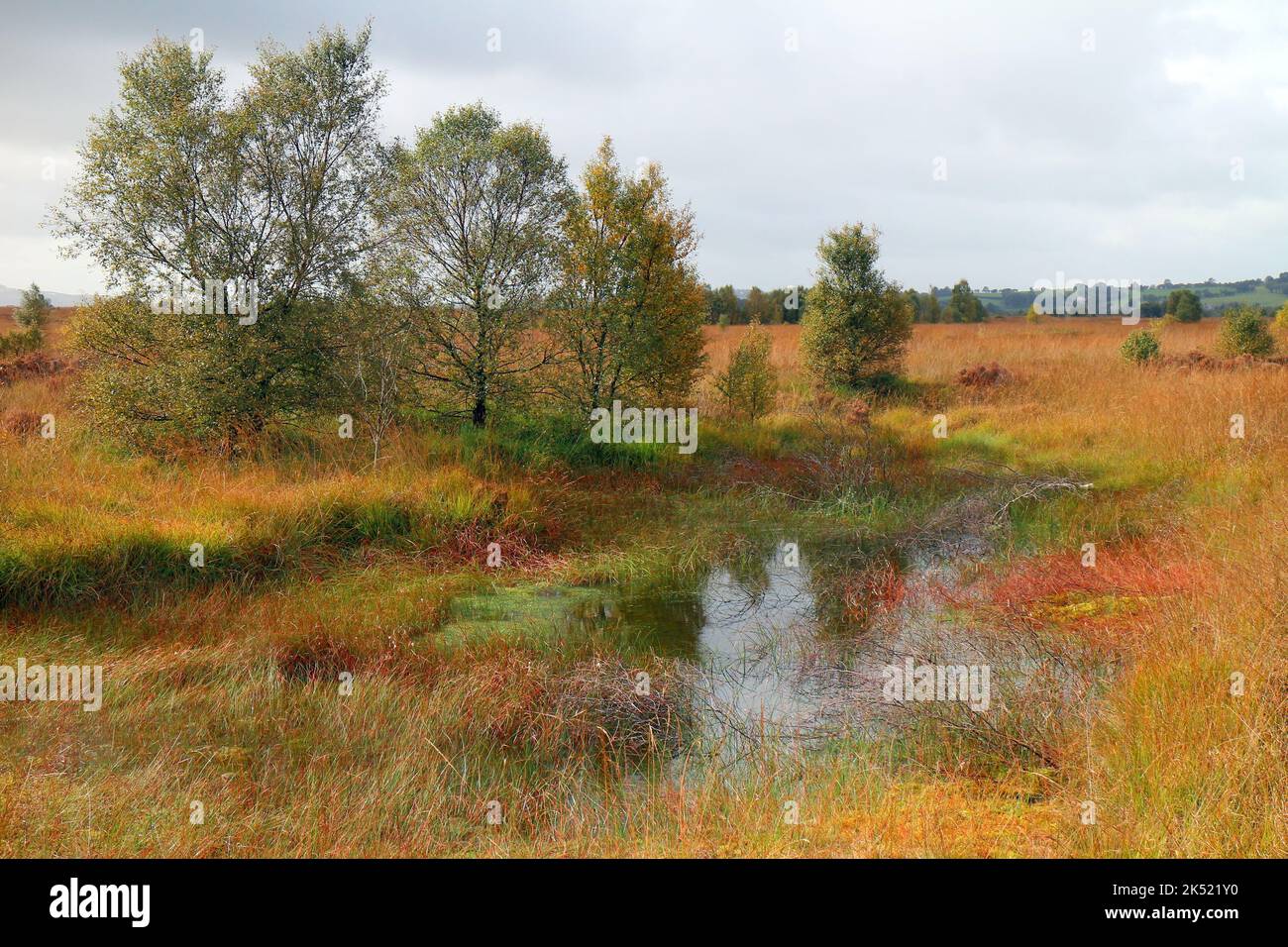 Cors caron national nature reserve hi-res stock photography and images ...