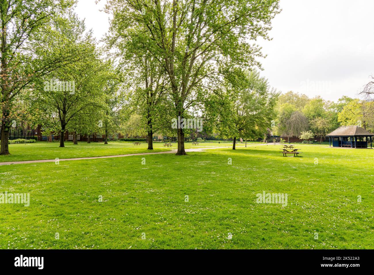 Spring city park with trees with large courtyards and green lawns. High ...