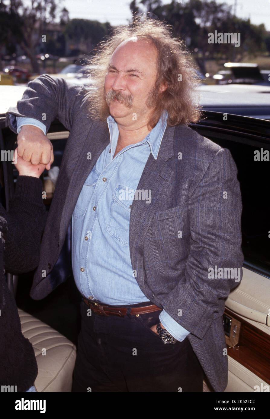 David Crosby November 1991 Credit: Ralph Dominguez/MediaPunch Stock ...