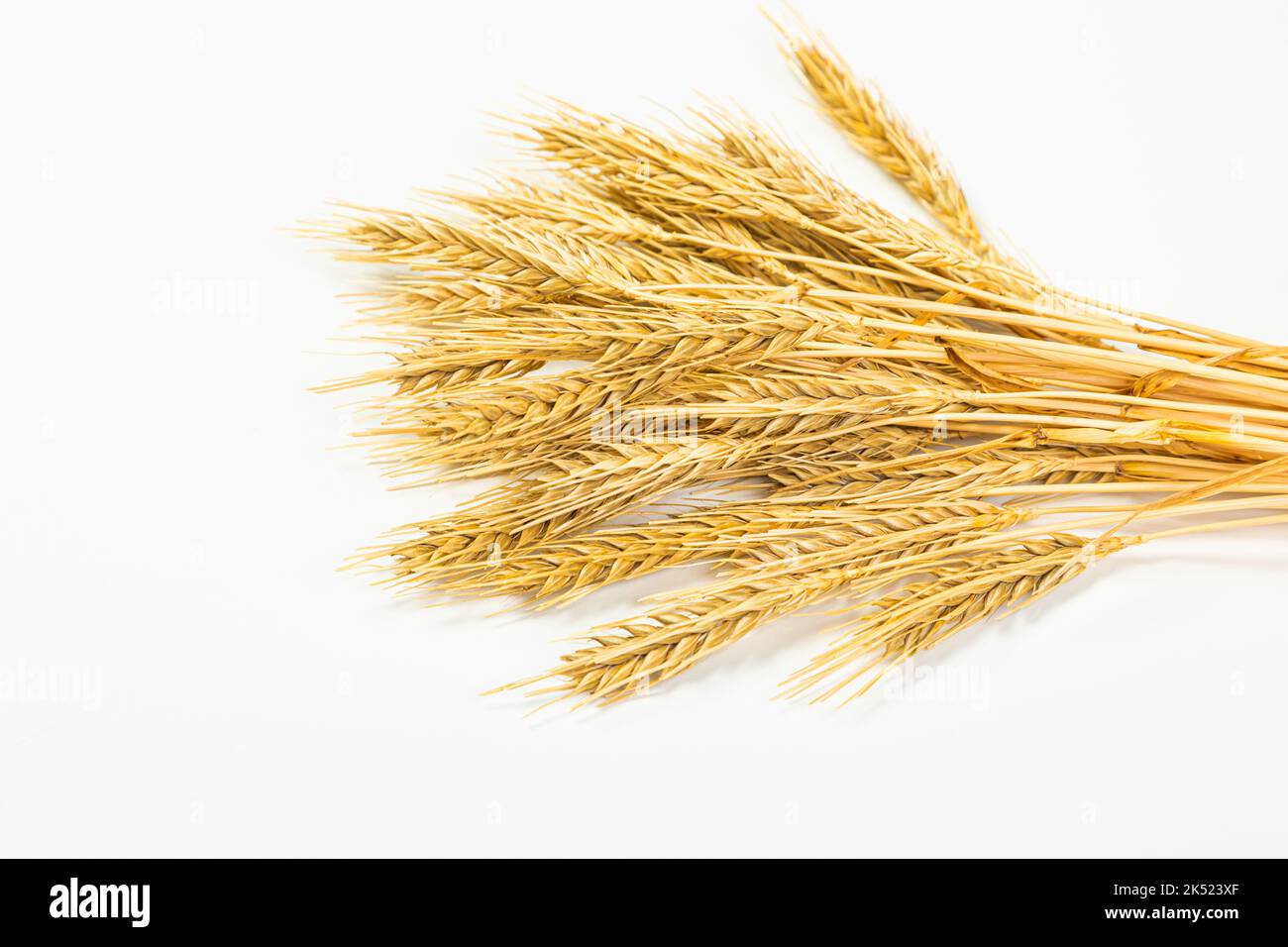 Weat seeds hi-res stock photography and images - Alamy