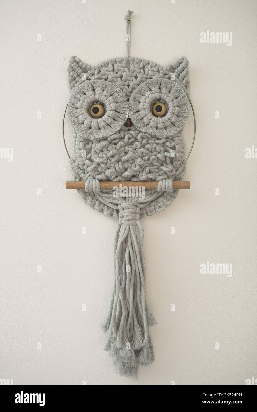 Baby Owl fine art macrame children's room wall decoration cotton cord ...