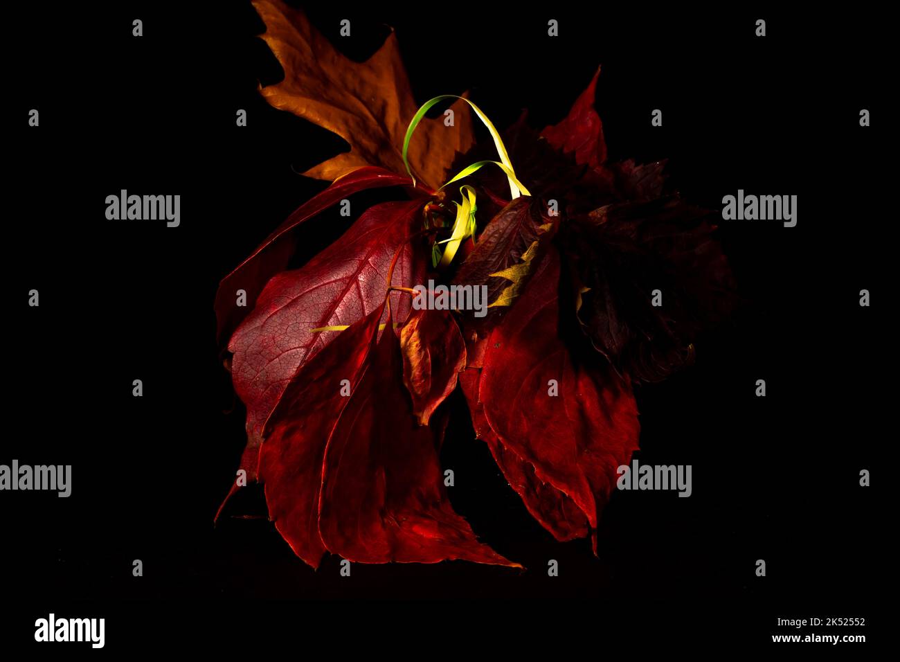 Managed colors hi-res stock photography and images - Alamy