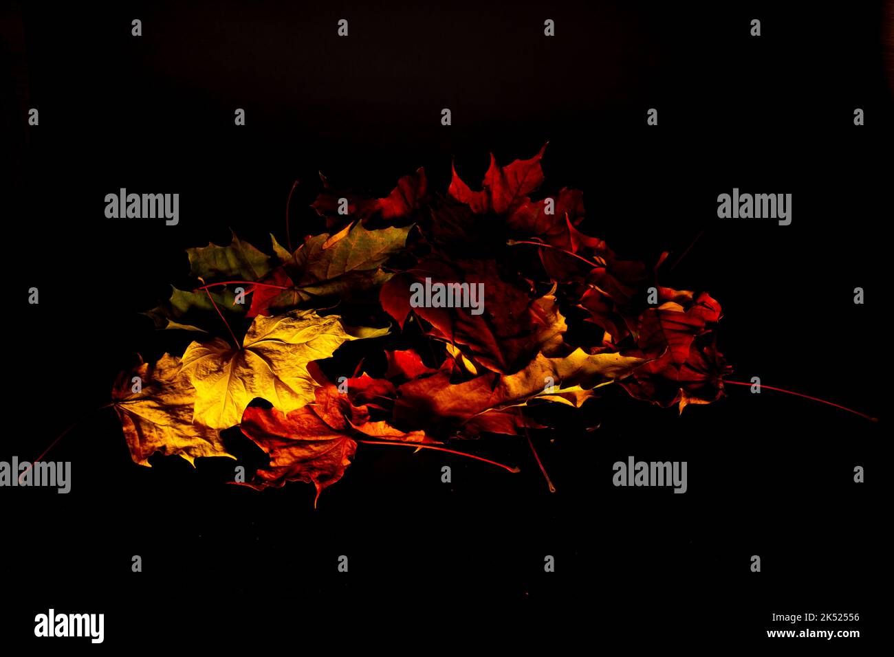 Rights managed hi-res stock photography and images - Alamy