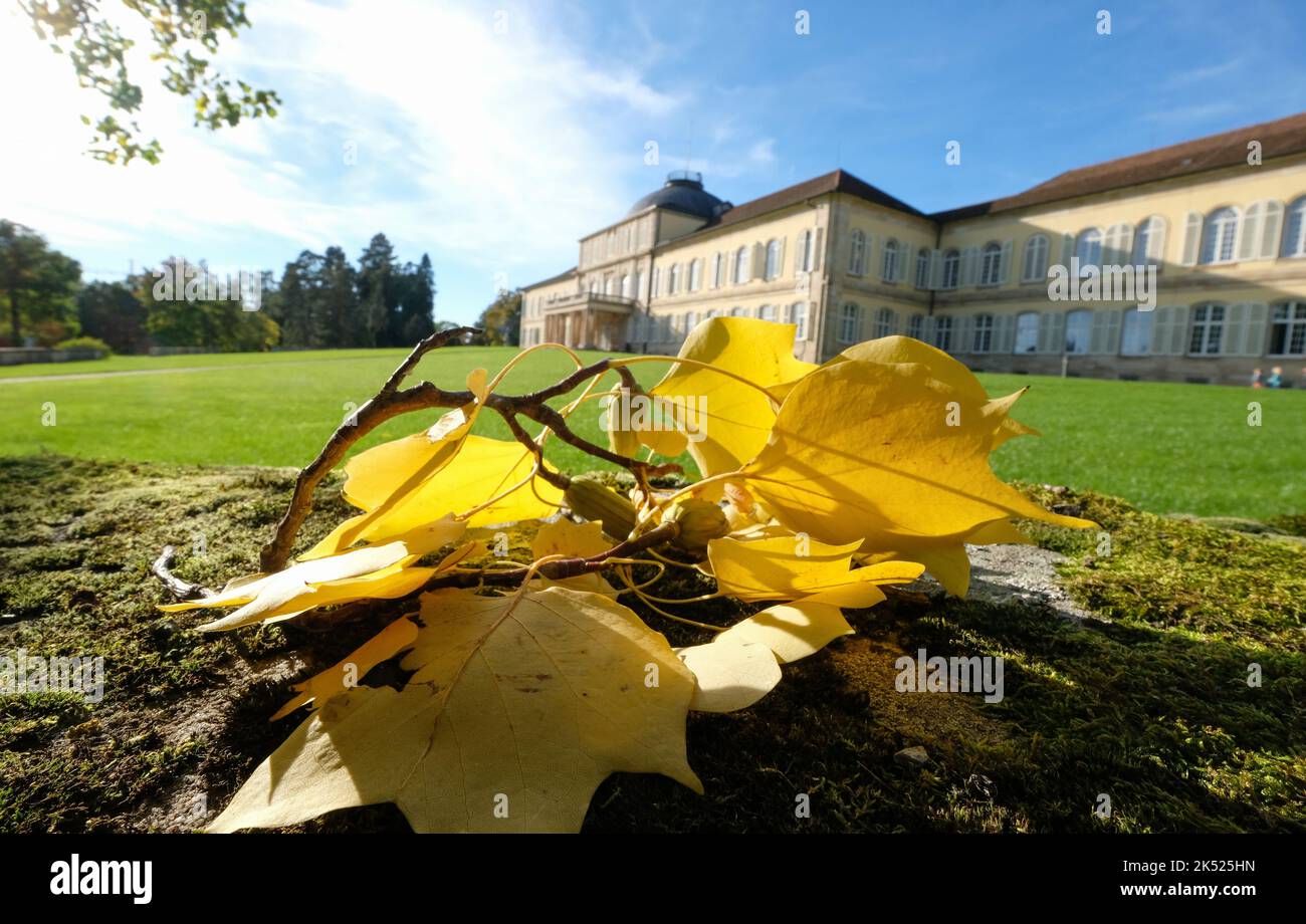 Hohenheim palace hi-res stock photography and images - Alamy