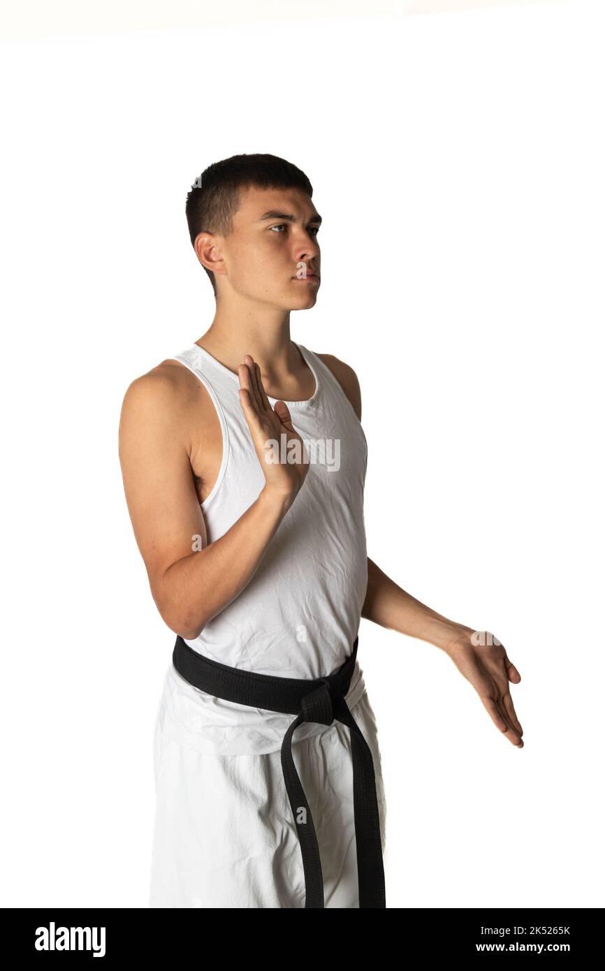 19 Year Old Teenage Boy Practacing a Karate Double Open Hand Block ...