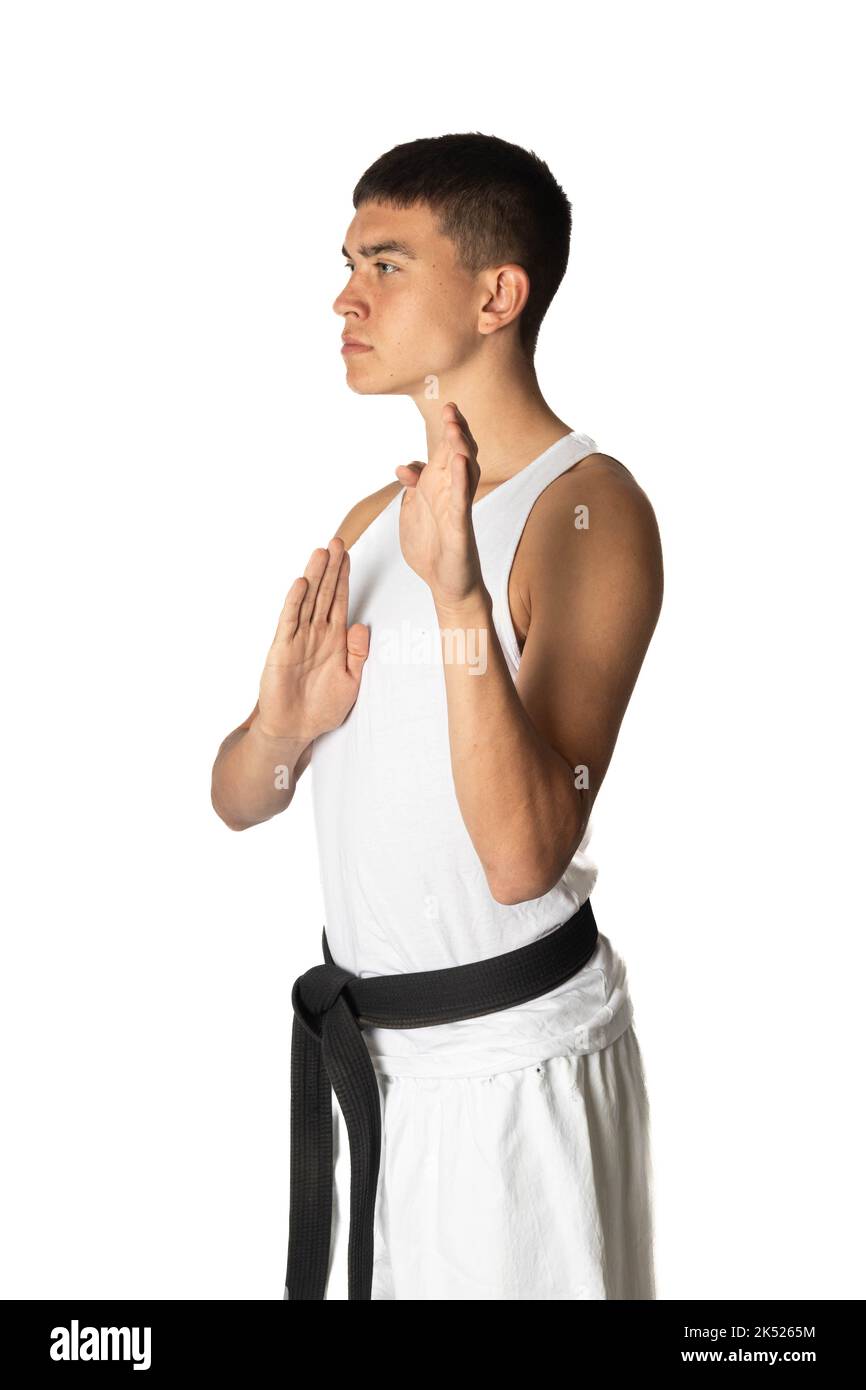 19 Year Old Teenage Boy Practacing a Karate Open Hand Block Stock Photo ...
