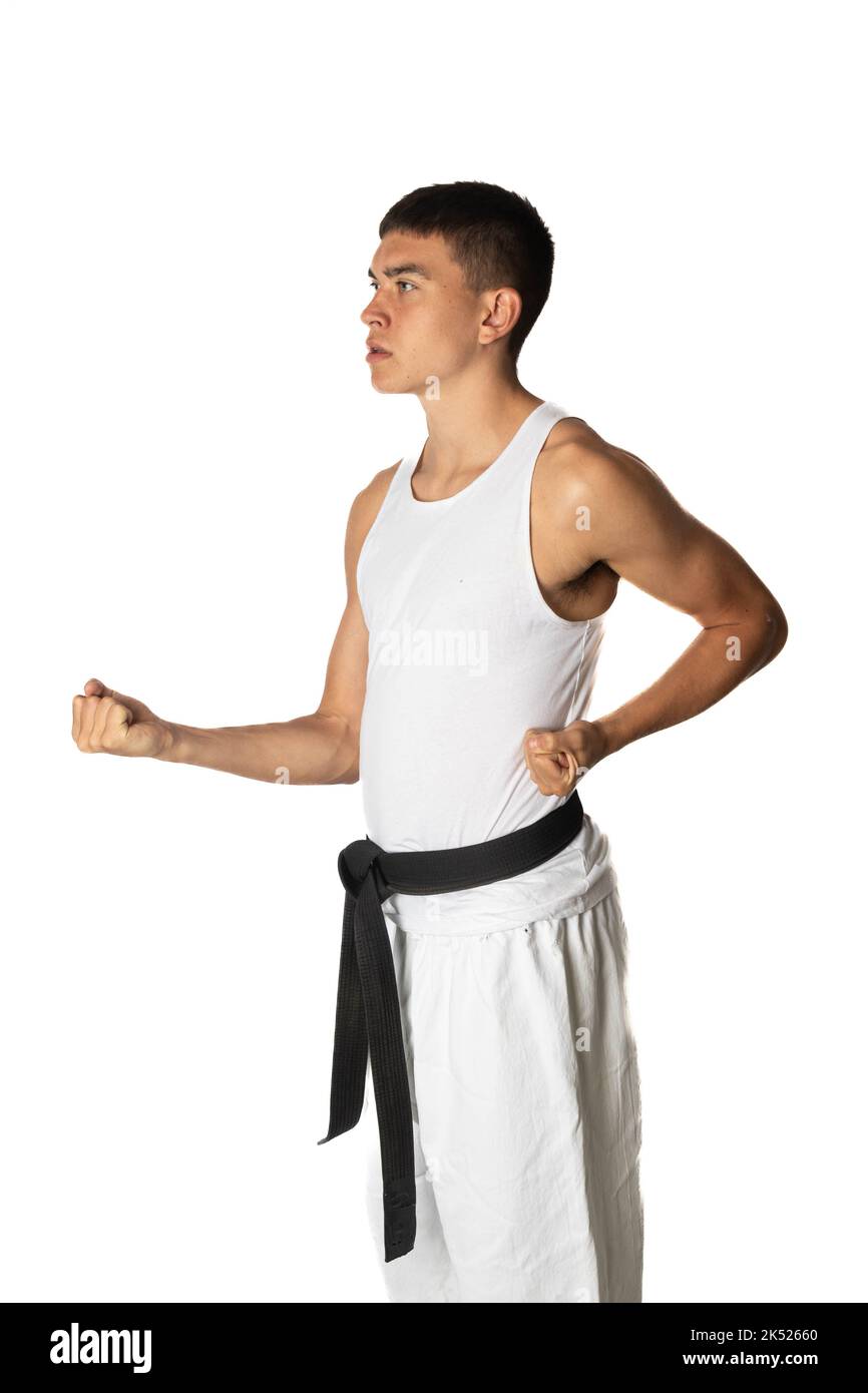 19 Year Old Practacing a Karate Short Punch Stock Photo - Alamy