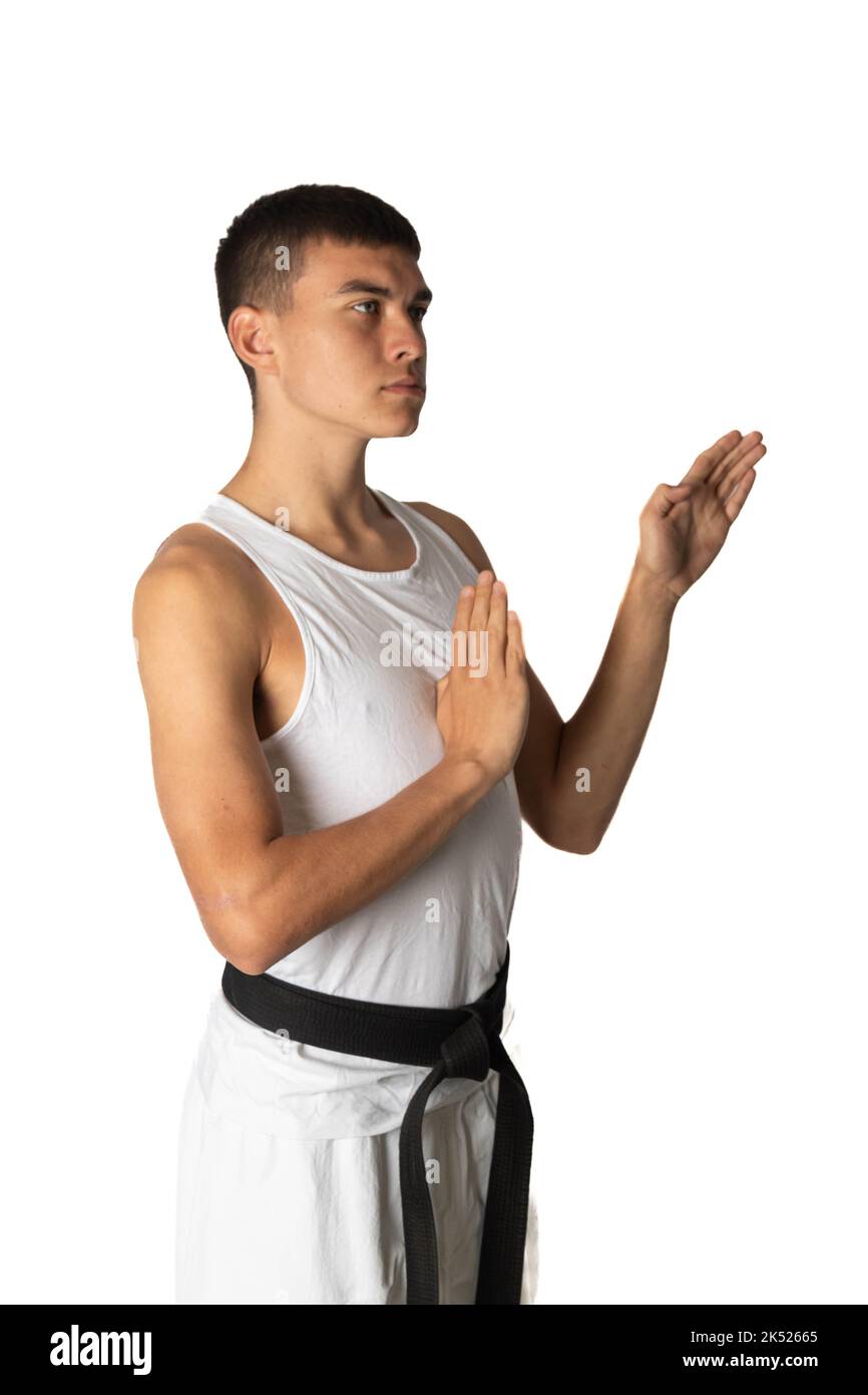 19 Year Old Teenage Boy Practacing a Karate Open Hand Block Stock Photo ...