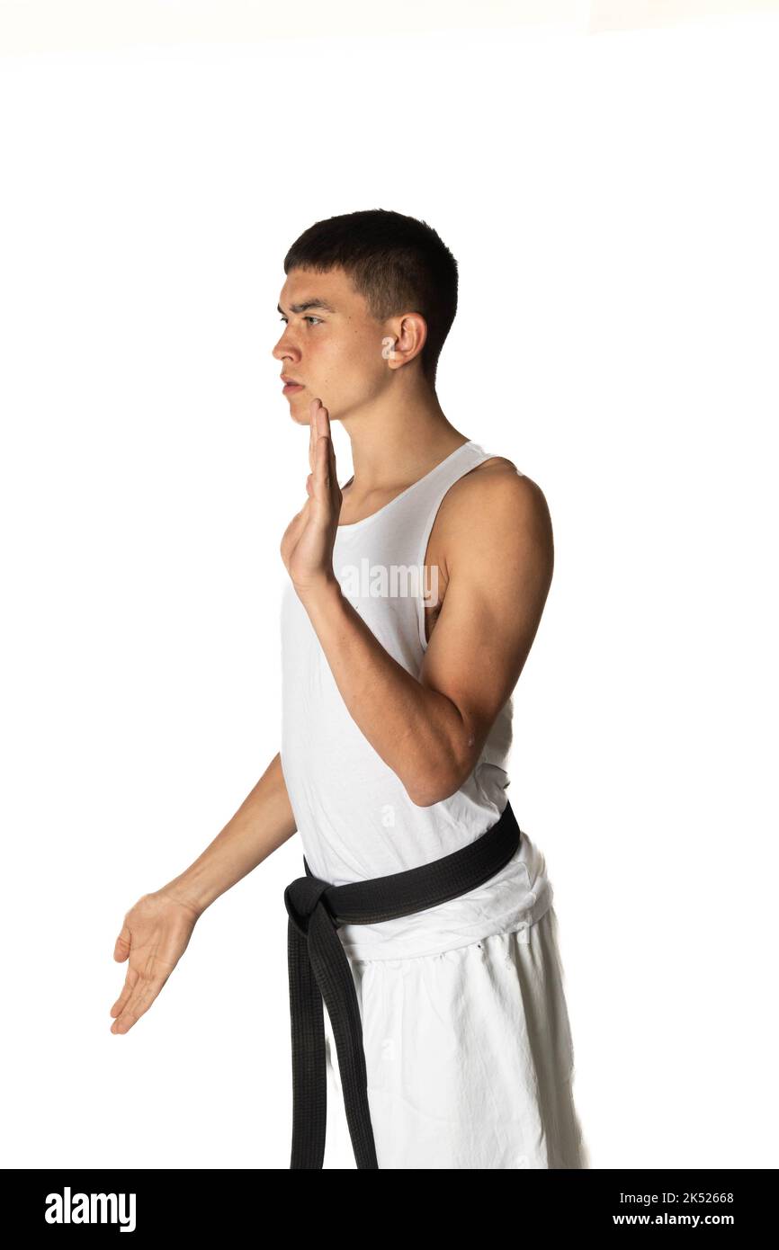 19 Year Old Teenage Boy Practacing a Karate Double Open Hand Block ...