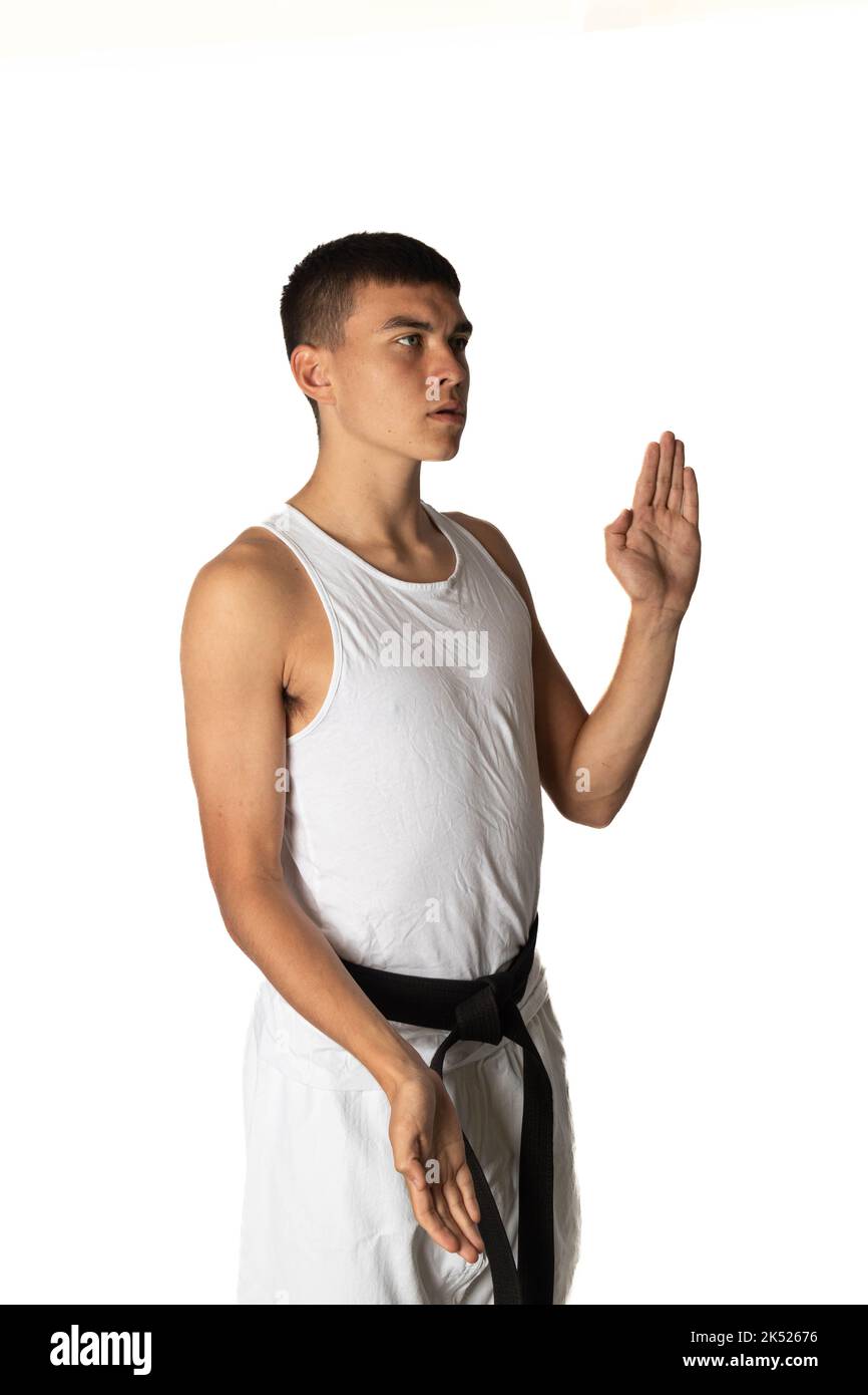 19 Year Old Teenage Boy Practacing a Karate Double Open Hand Block ...