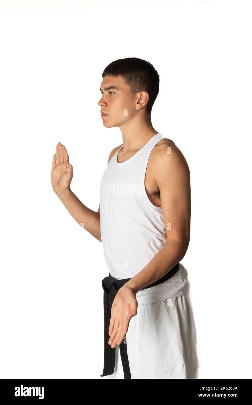 19 Year Old Teenage Boy Practacing a Karate Double Open Hand Block ...