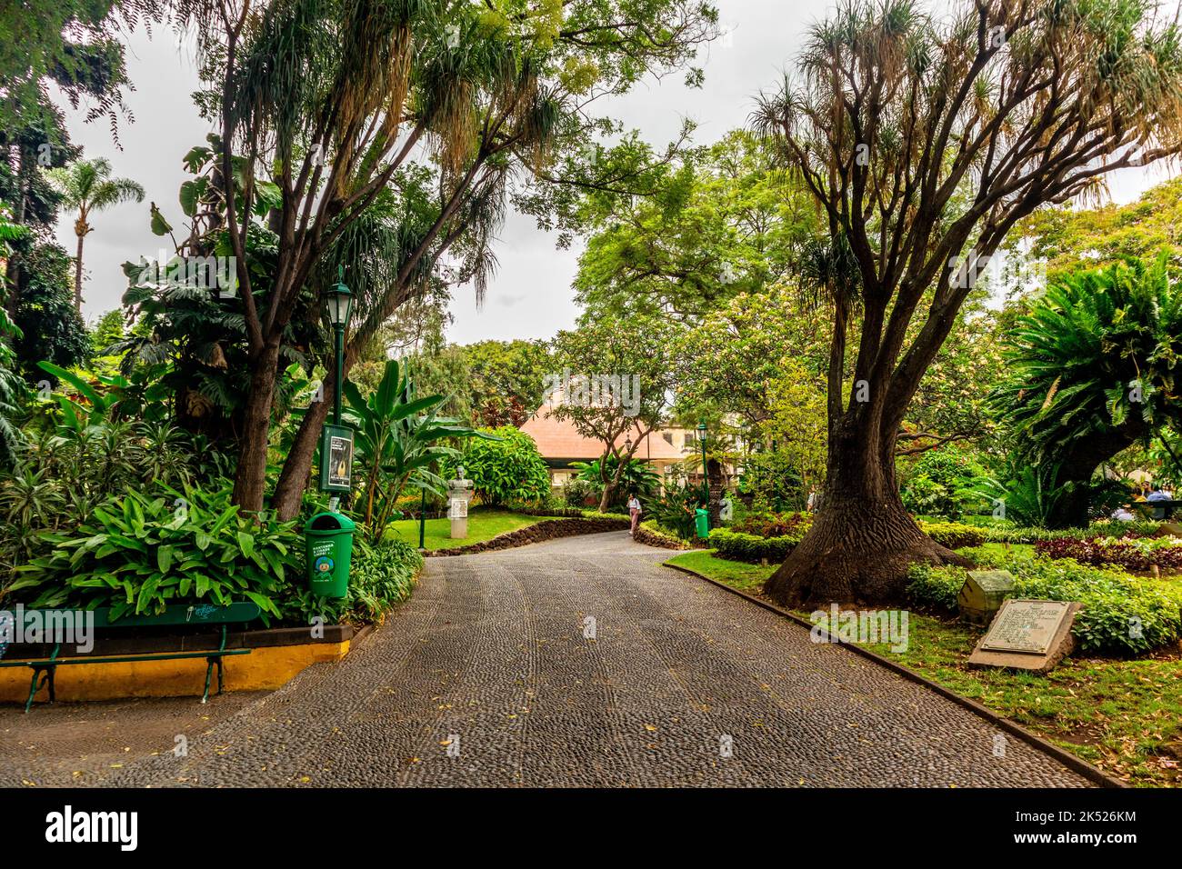 On the road in the romantic port city of Funchal on the Azores island ...