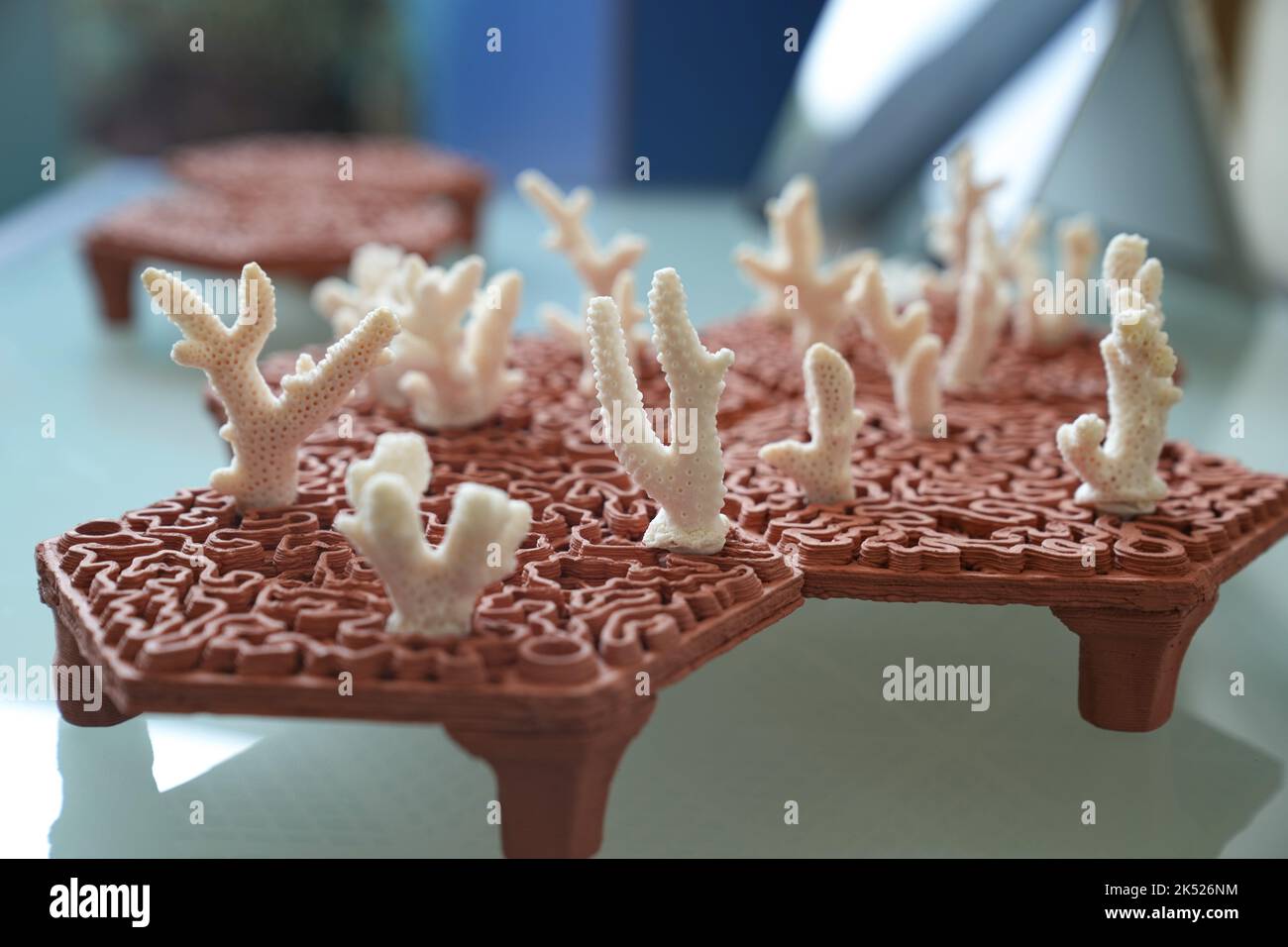 3D printed artificial reef structure displays during the press ...