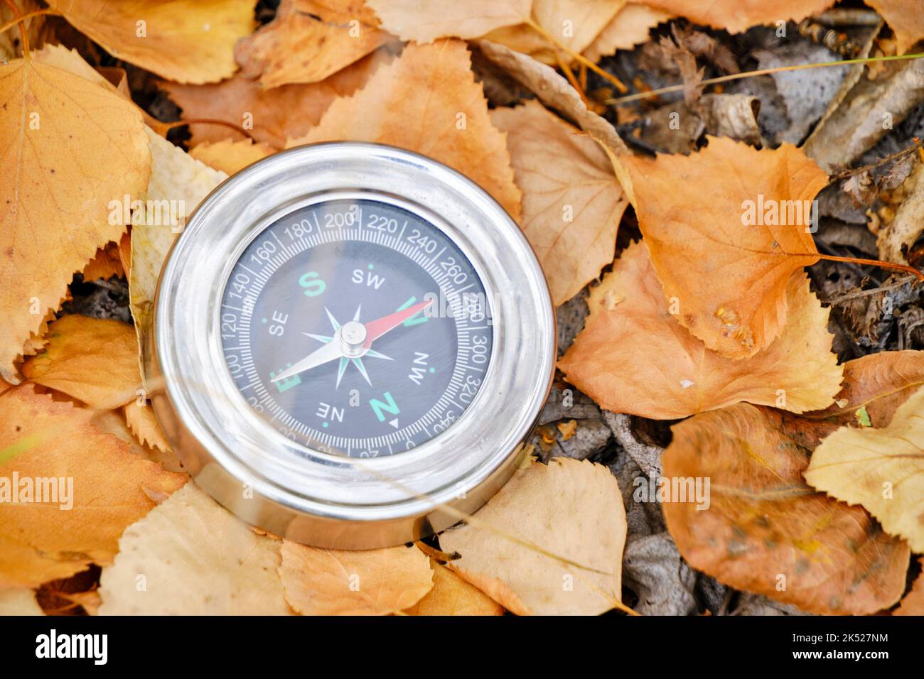 Compass lying in yellow autumn foliage.Concept recreation, travel, and ...